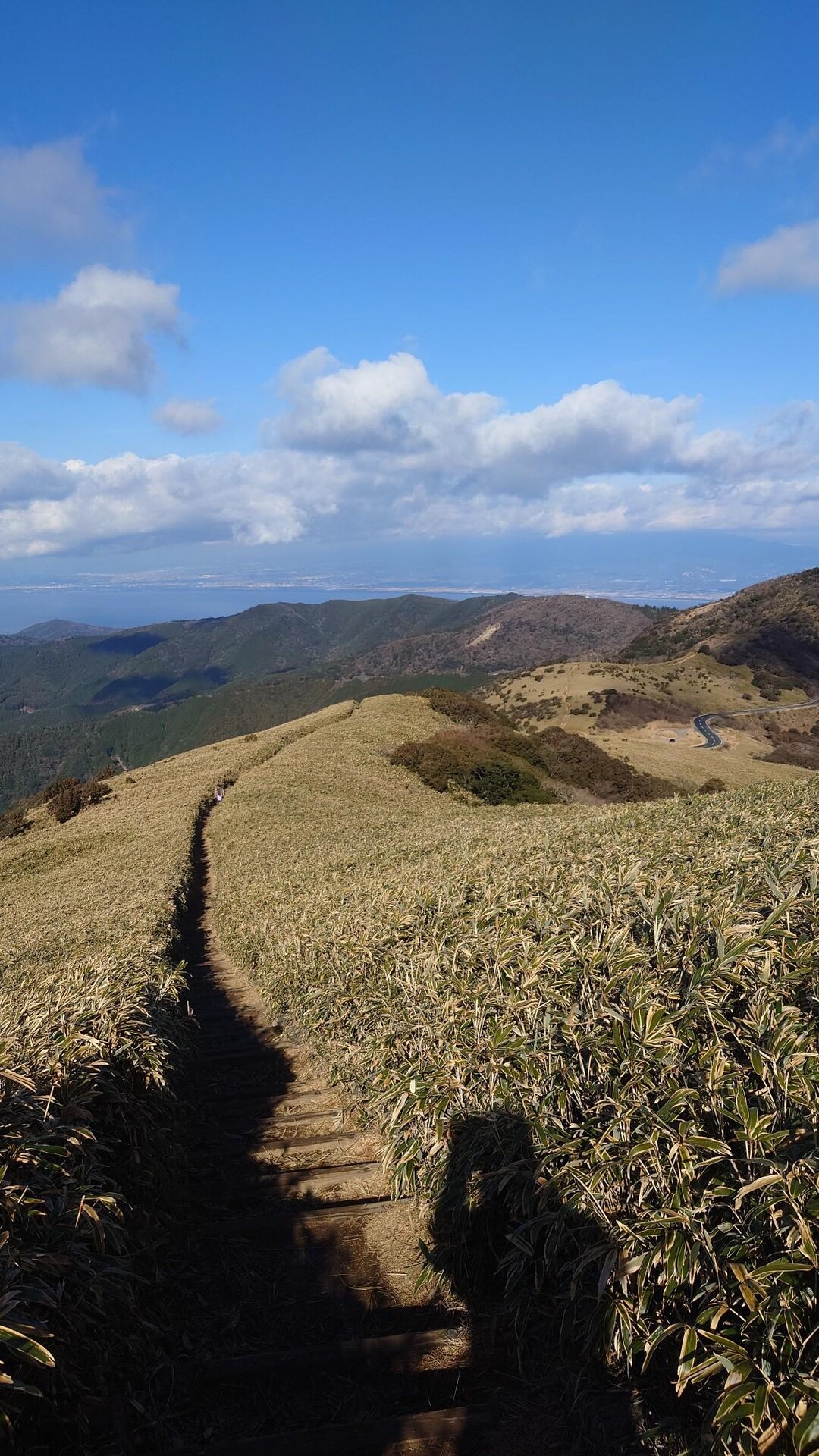小達磨山・達磨山・古稀山・伽藍山・金冠山 / taro taroさんの金冠山・達磨山・葛城山の活動データ | YAMAP / ヤマップ