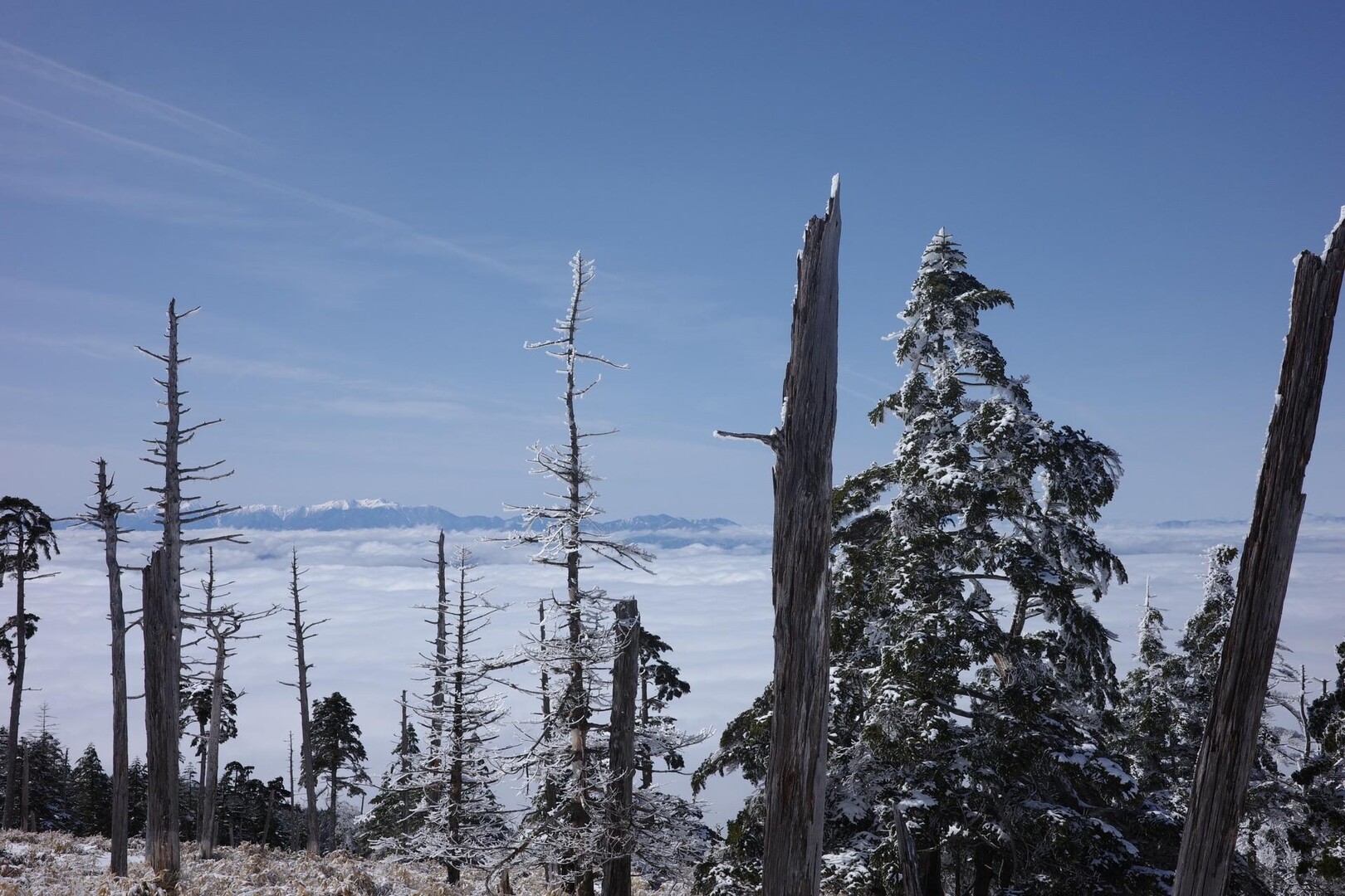 丸山(茅野市・佐久穂町)・中小場・茶臼山 / Ayanoさんの八ヶ岳（赤岳・硫黄岳・天狗岳）の活動データ | YAMAP / ヤマップ