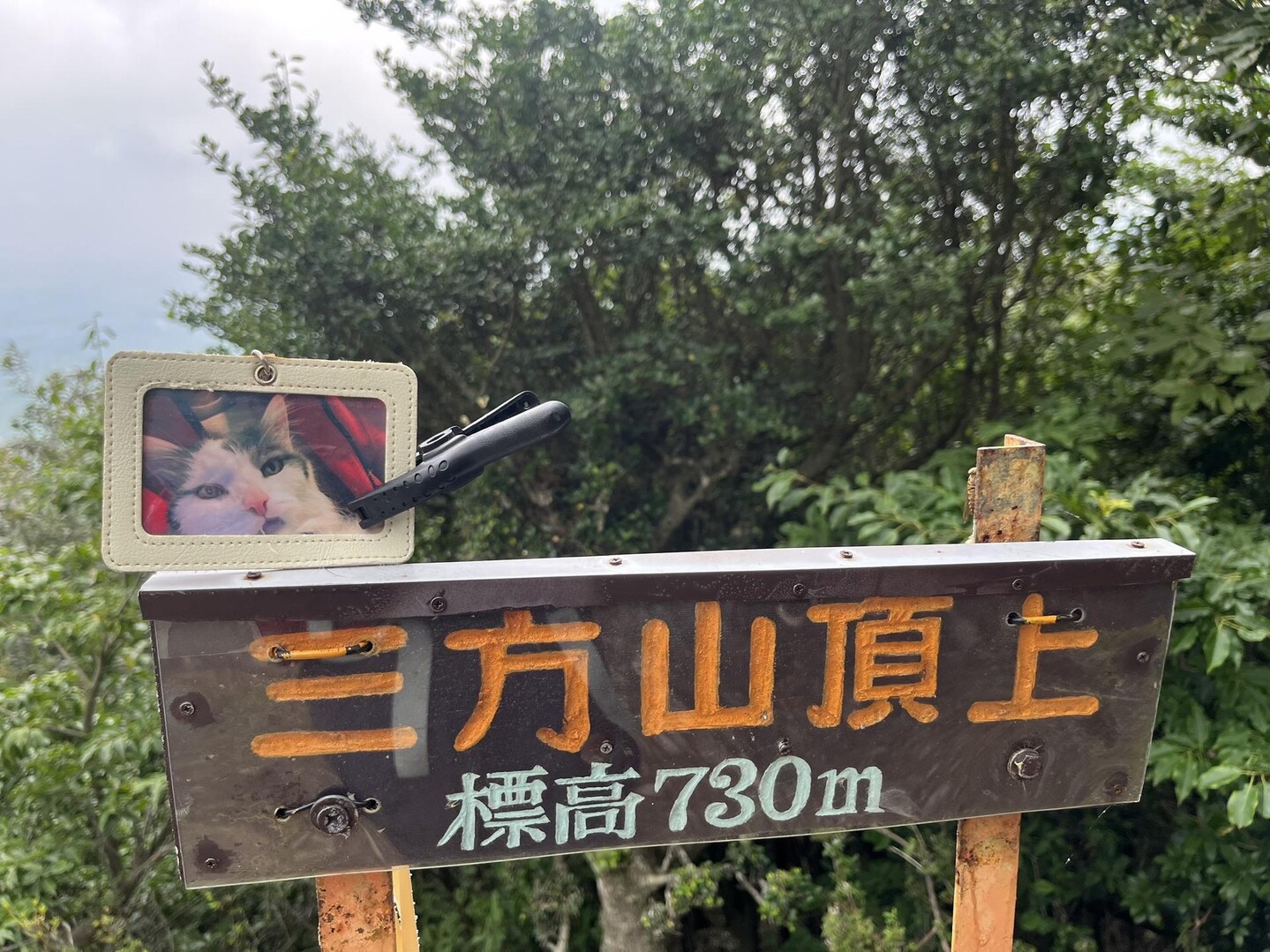 三方山・小倉山・なっくんと共にR5-28(通算183) / なっくんさんの養老山・笙ヶ岳・三方山の活動データ | YAMAP / ヤマップ