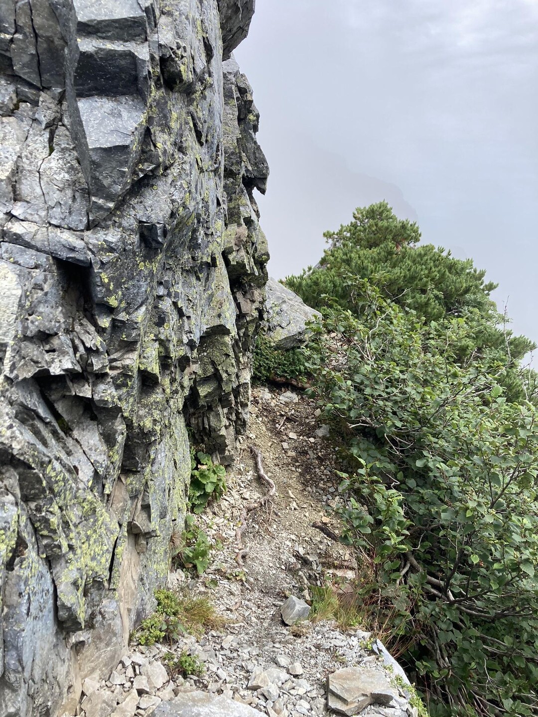 まこさんの投稿したフィールドメモ | YAMAP / ヤマップ