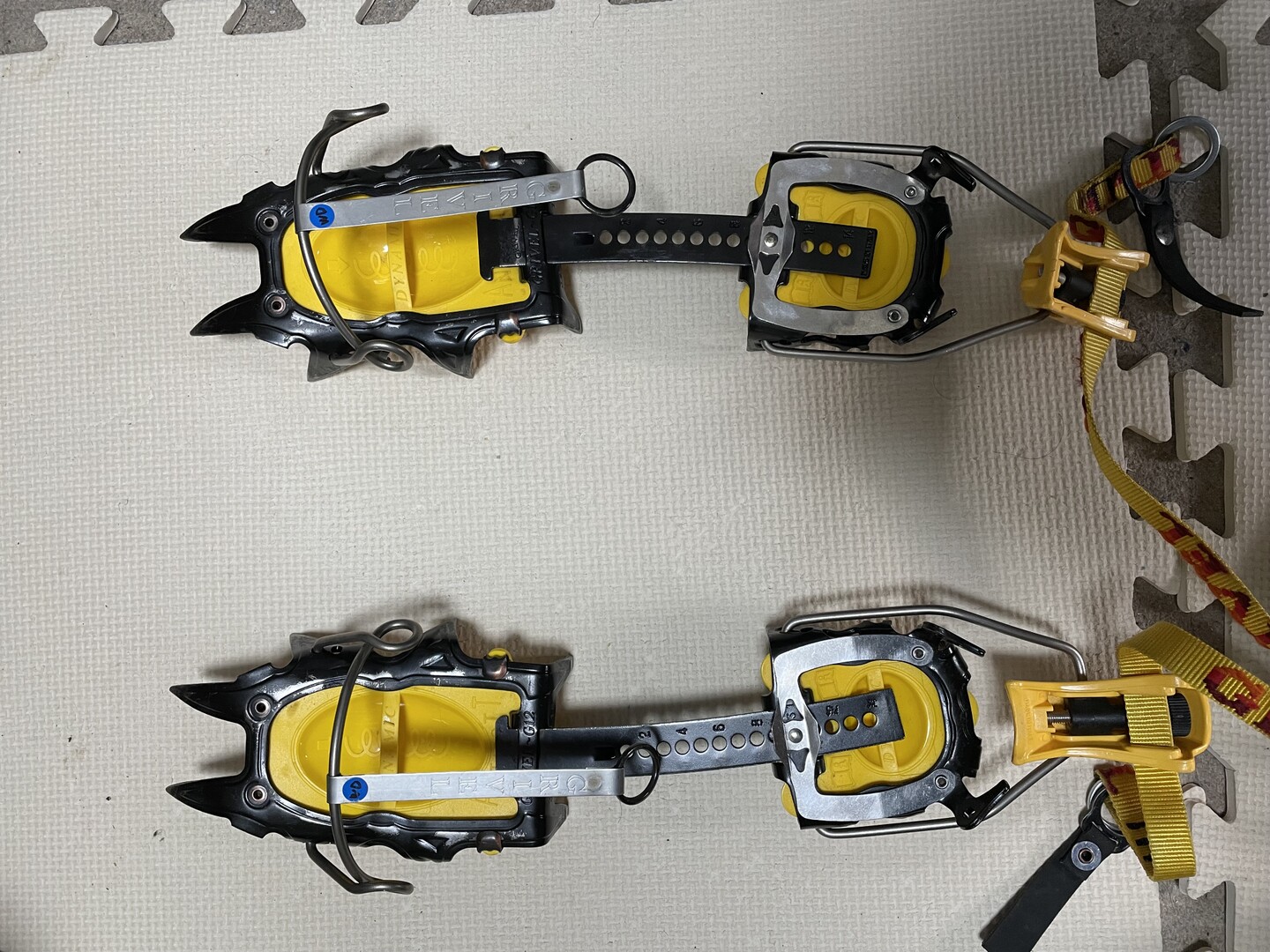 去年のクリスマスプレゼント。 グリベル、... / maoさんのモーメント | YAMAP / ヤマップ