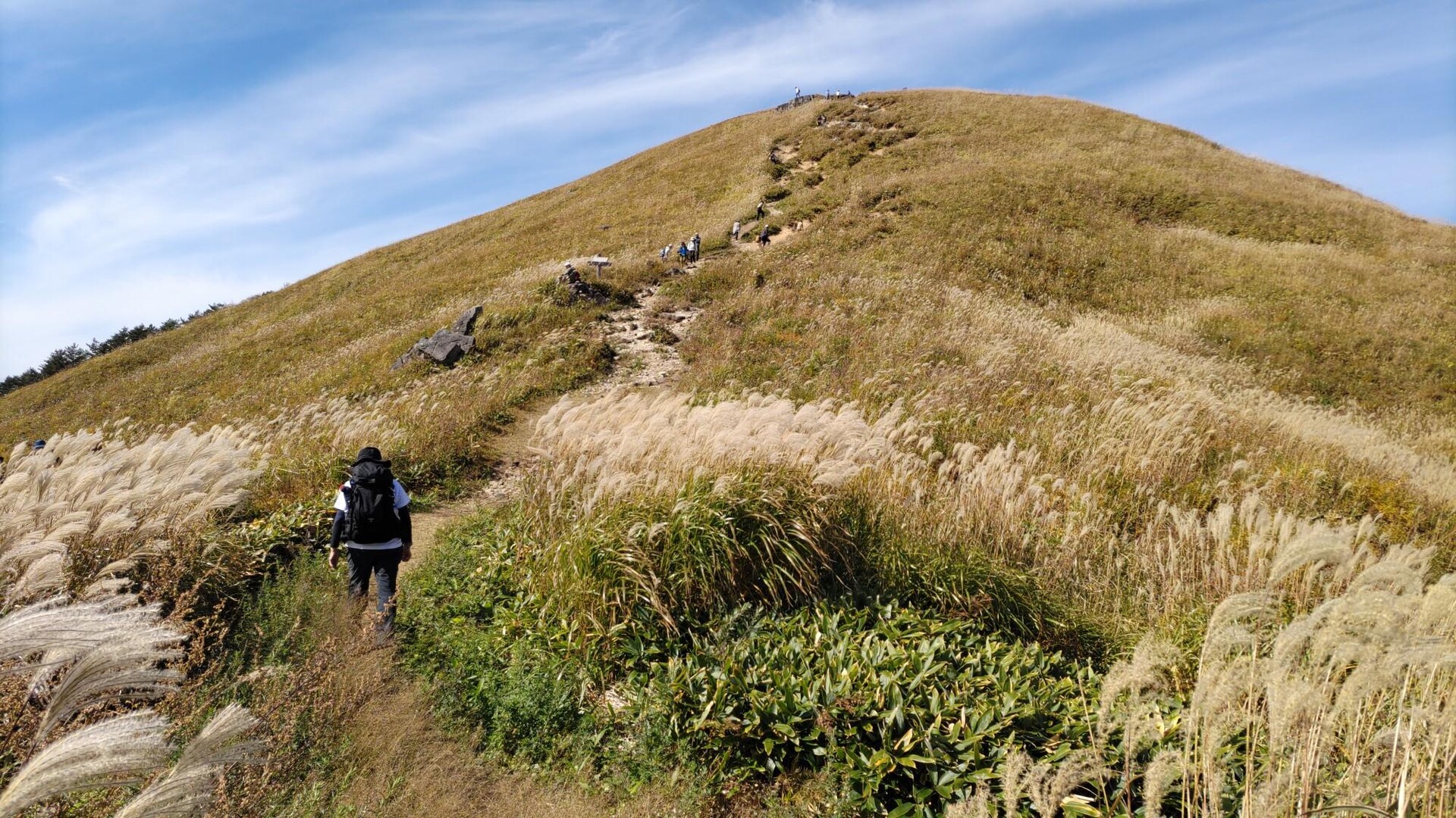深入山 / Oysterさんの深入山の活動データ | YAMAP / ヤマップ
