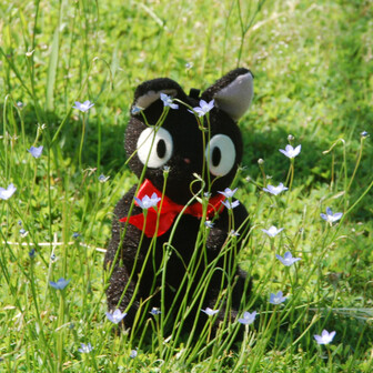 yasuのページ | YAMAP / ヤマップ