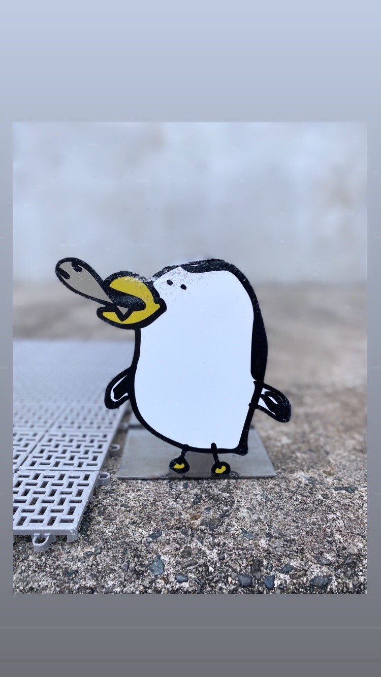 2022.04.25(月) 13:39 / mikitea𖤣𖥧𖥣𖡡𖥧𖤣さんのモーメント | YAMAP / ヤマップ