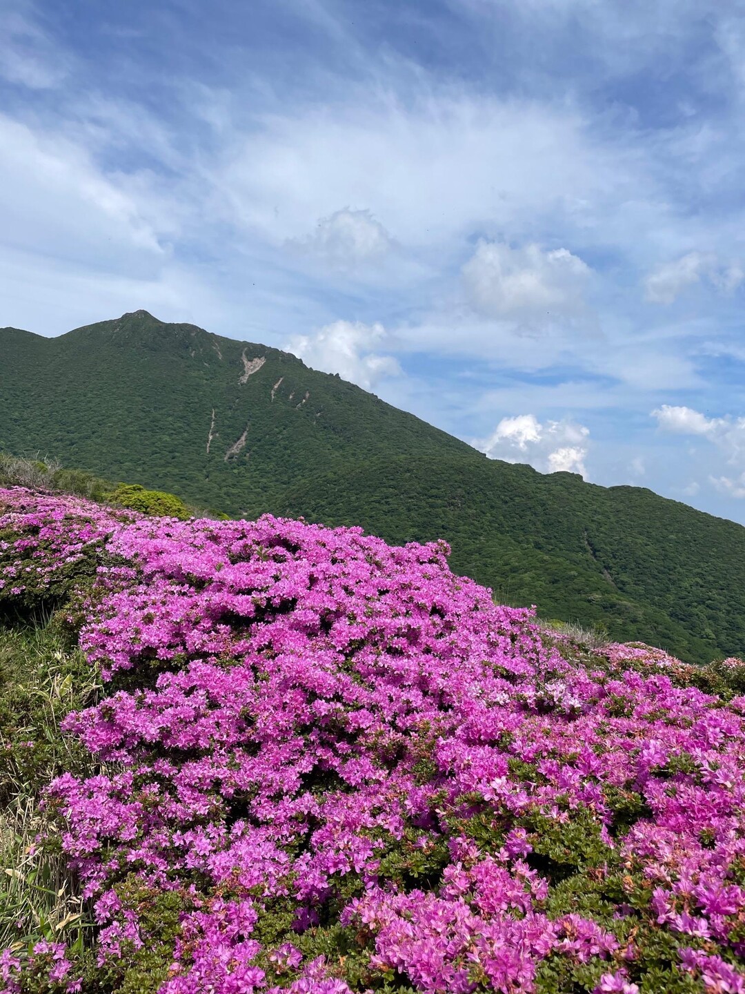 大船山・立中山&獲得標高100,000m達成🙌 / ☆AYA☆さんの九重山（久住山）・大船山・星生山の活動データ | YAMAP / ヤマップ