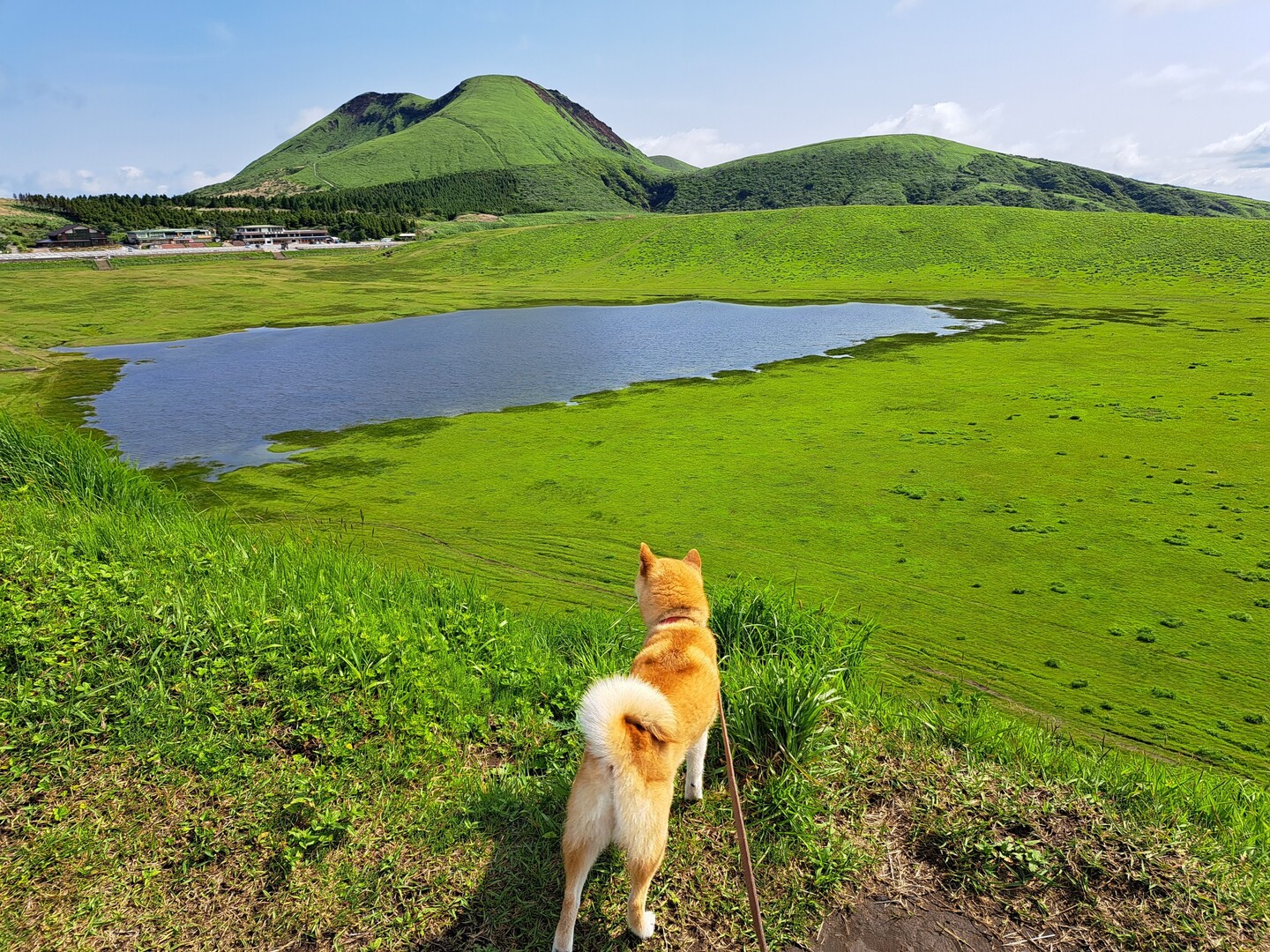 今日は阿蘇です！ 可愛い駒立岳から烏帽子... / 花さんのモーメント | YAMAP / ヤマップ