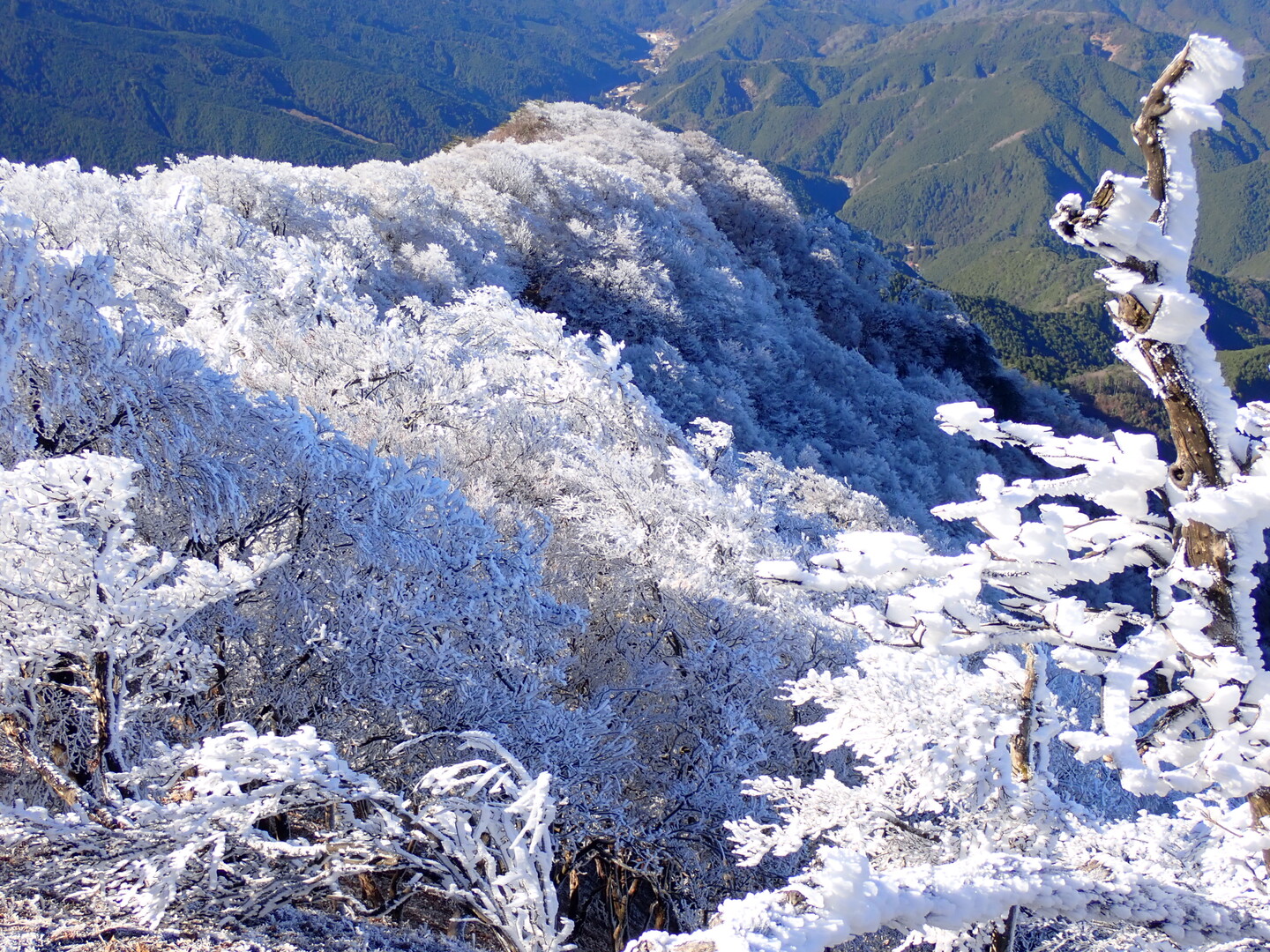 高見山(青空と霧氷、Good！) / HIRO7667さんの高見山・黒石山・天狗山の活動データ | YAMAP / ヤマップ