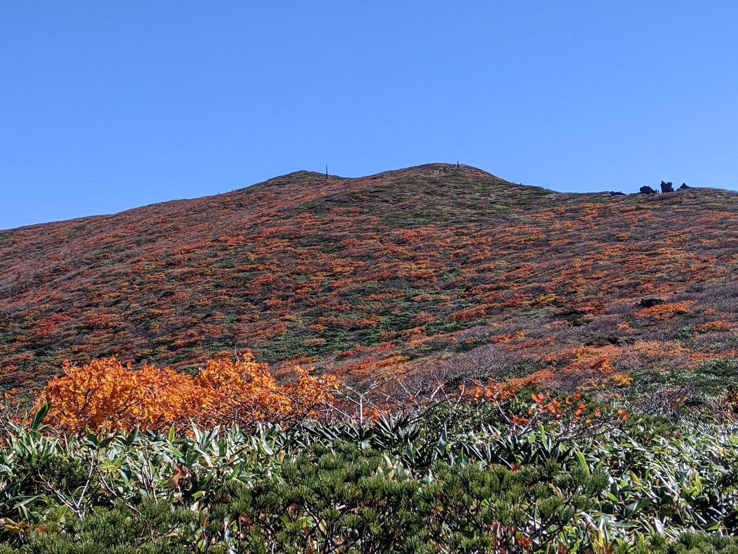 栗駒山 晴れたがりの空が8時半ごろ勝利... / YOLOさんのモーメント | YAMAP / ヤマップ