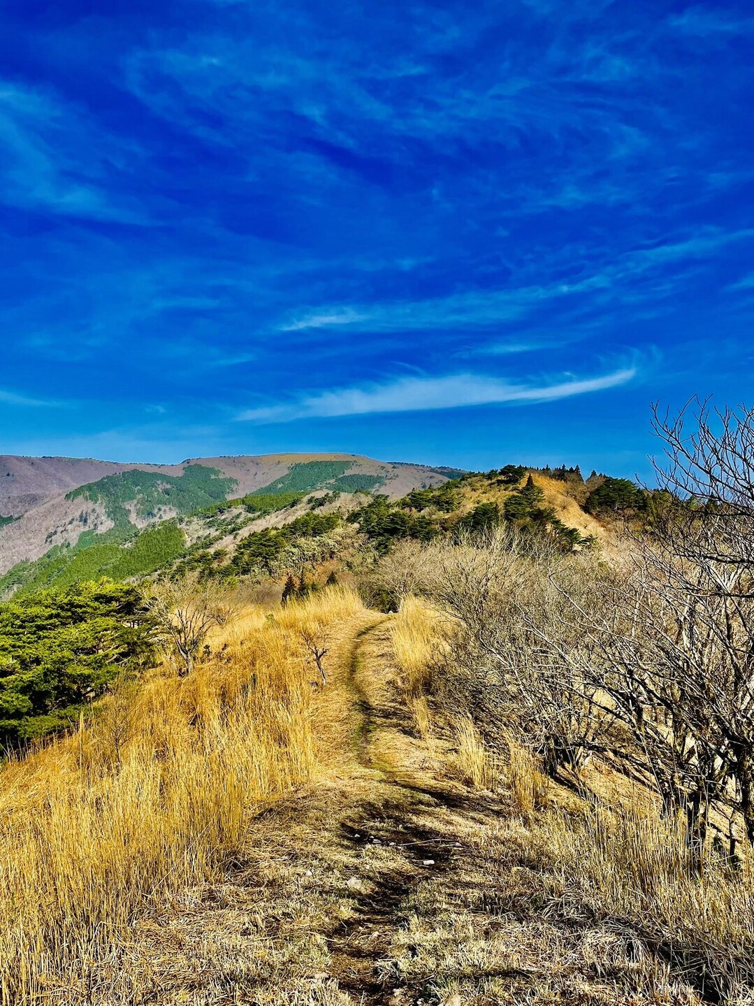 ポカポカ陽気の段ヶ峰☀️ / V-Starさんの段ヶ峰・笠杉山・千町ヶ峰の活動データ | YAMAP / ヤマップ