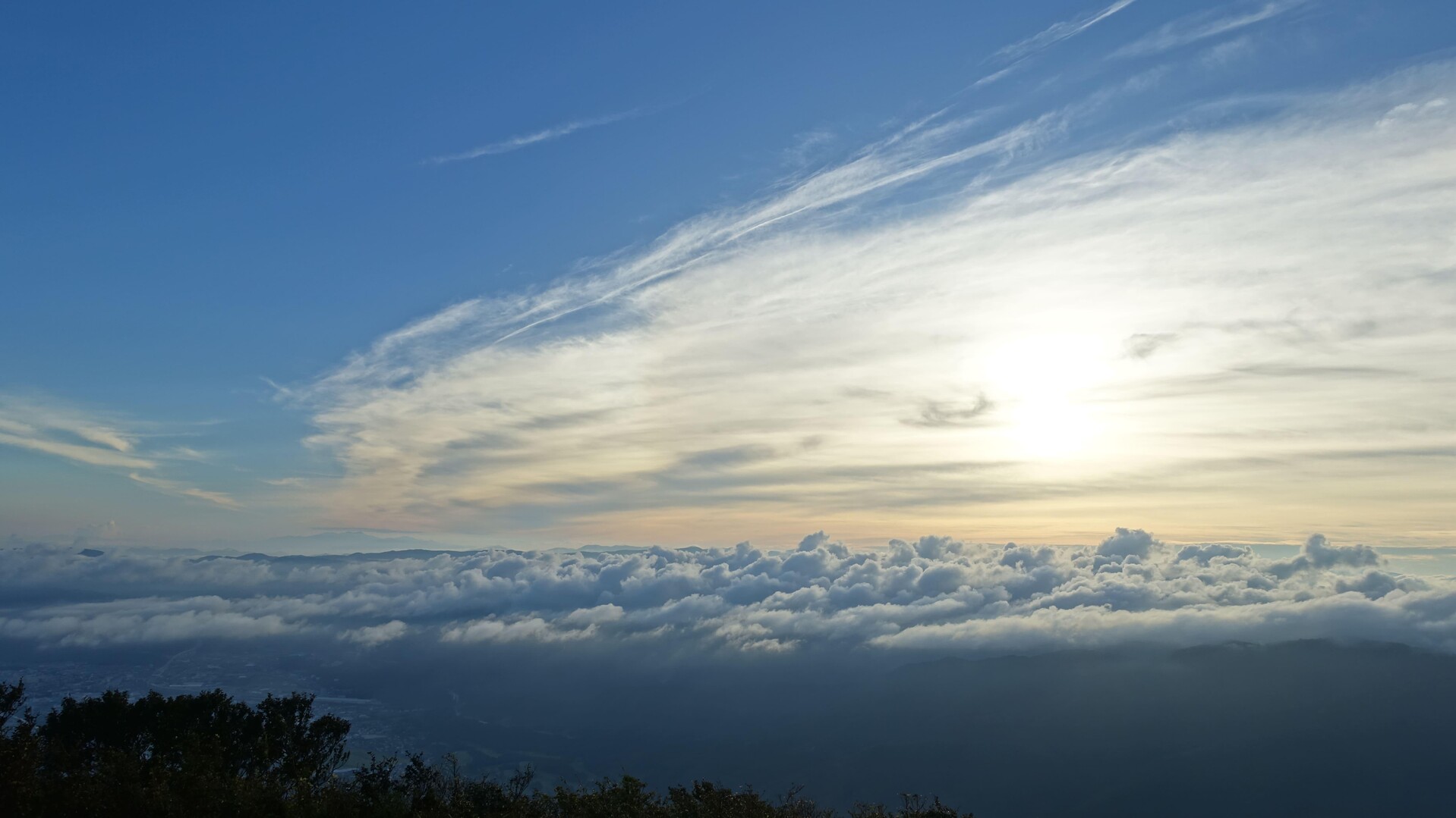 野坂岳 / TJさんの野坂岳の活動データ | YAMAP / ヤマップ