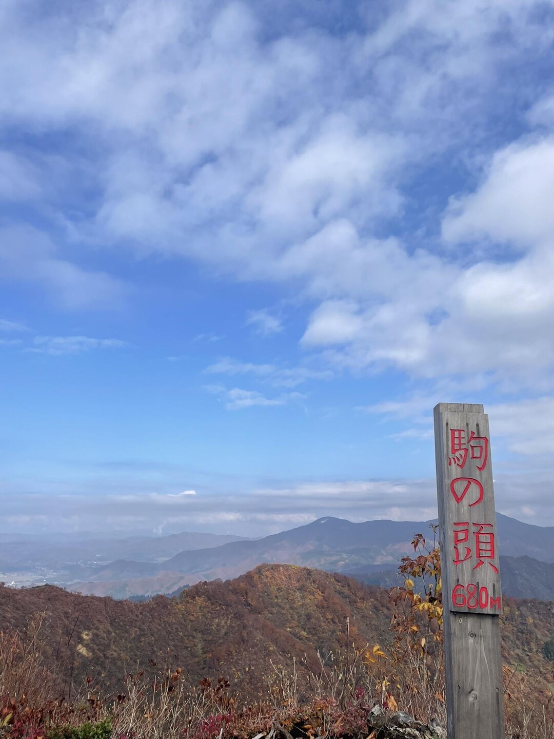 仕事前の魚沼アルプス、小滝沢コース⛰ ️4 / whaleさんの大力山・黒禿の頭・笠倉山の活動データ | YAMAP / ヤマップ