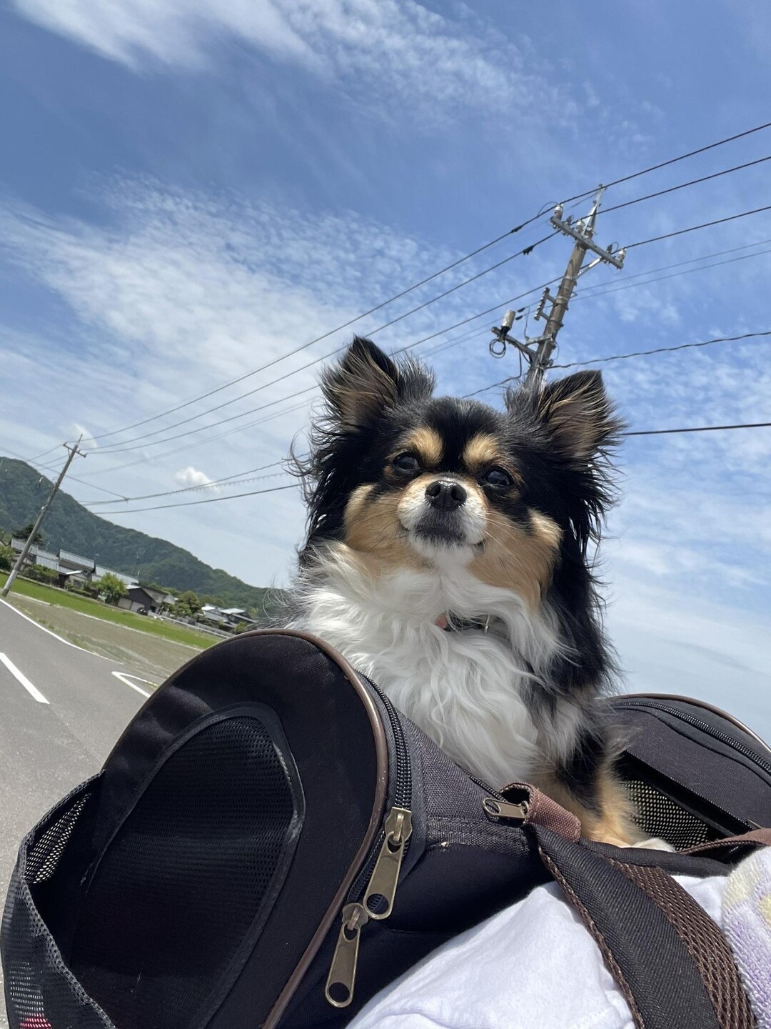 妄想キラキラ 三床山 / YASU-BOWさんの三床山・牧山・幸山の活動データ | YAMAP / ヤマップ