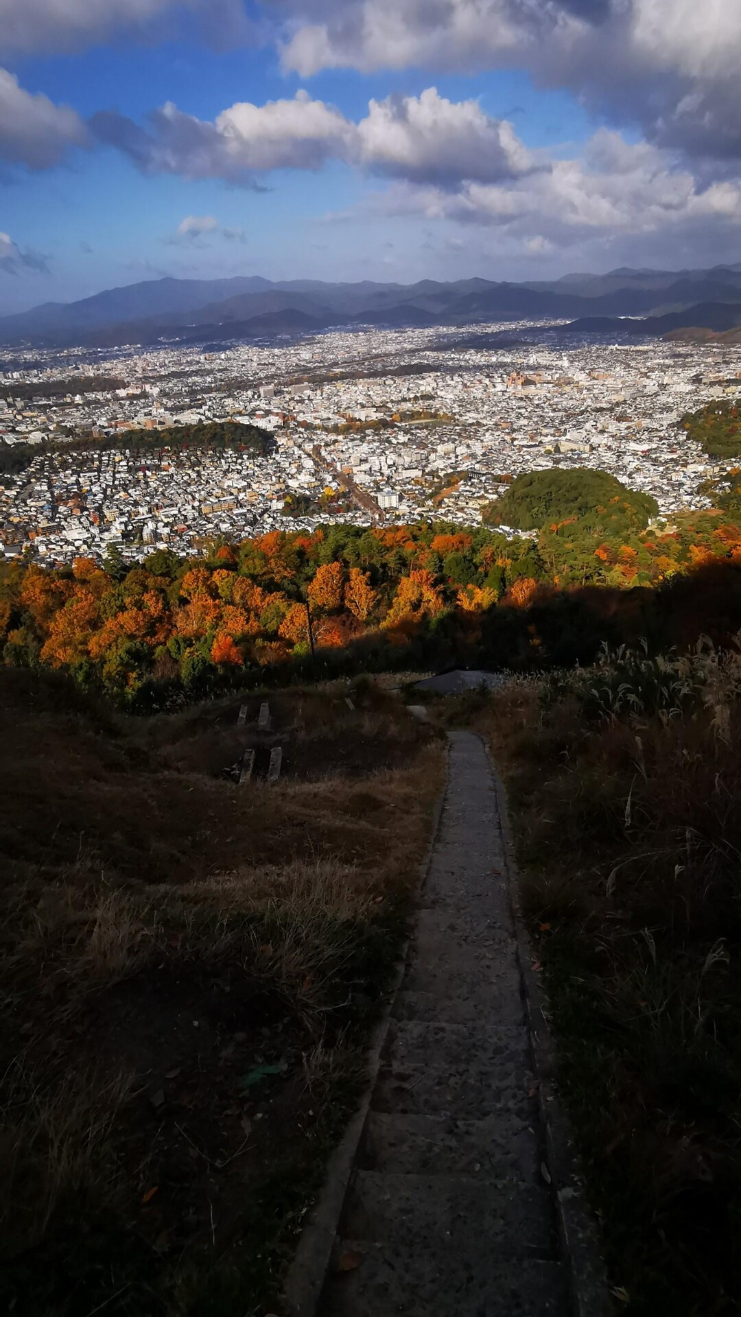 如意ヶ岳🏞️大文字山⛰️孫熊山🐻子熊山🐻曾孫熊山🐻玄孫熊山🐻鹿山🦌子鹿山🦌竹若山🎋熊山🐻💃 / YAMA由さんの大文字山・如意ヶ嶽・稲荷山の活動データ | YAMAP / ヤマップ