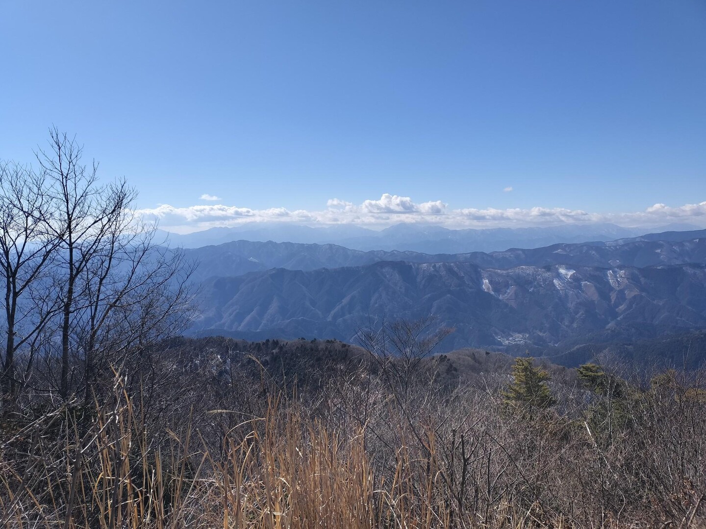 御岳山・大岳山・鍋割山・奥の院峰 / kooさんの大岳山・御岳山・御前山の活動データ | YAMAP / ヤマップ