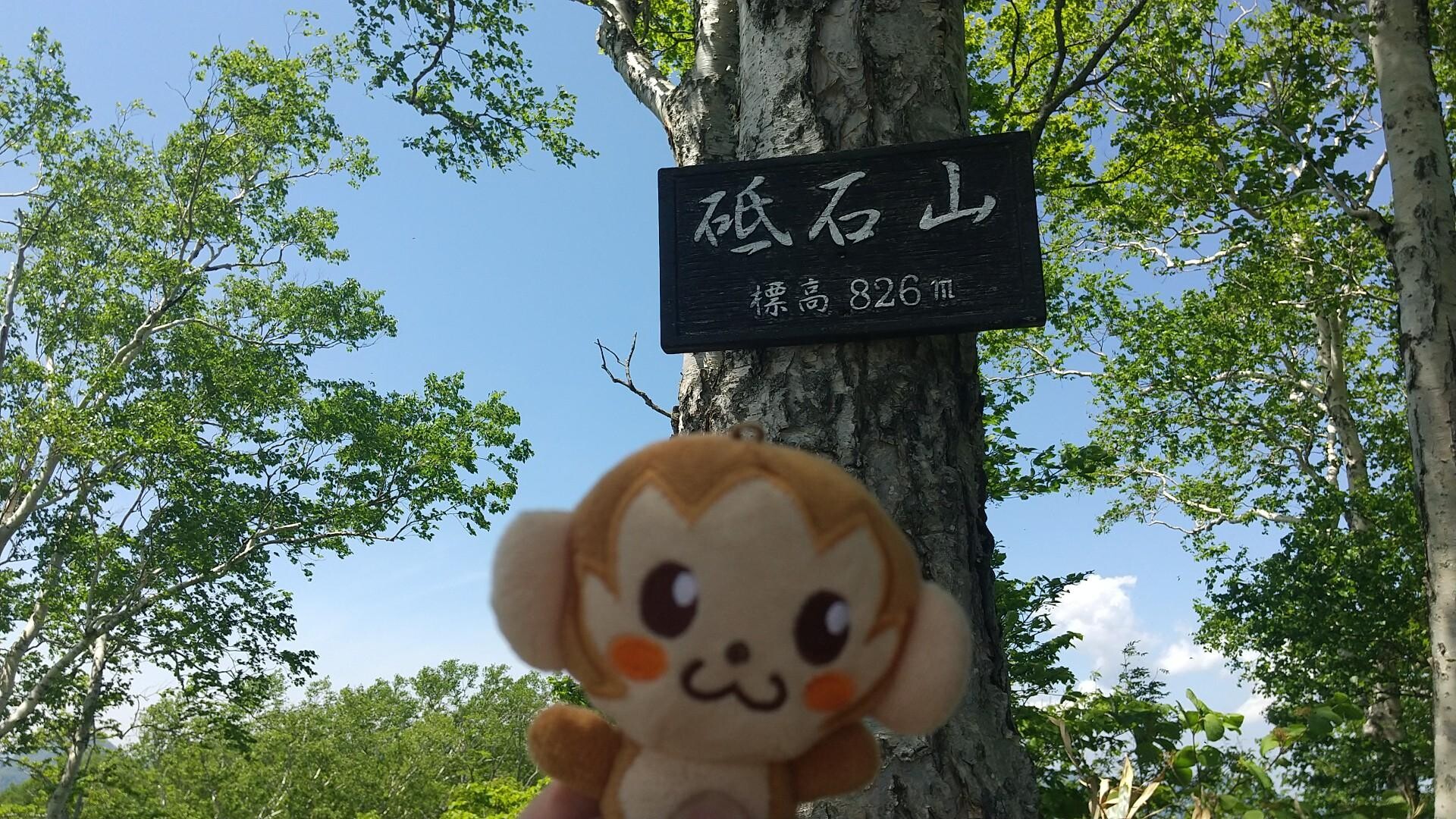 花の砥石山💞 / kumakoさんの砥石山・青山の活動データ | YAMAP / ヤマップ