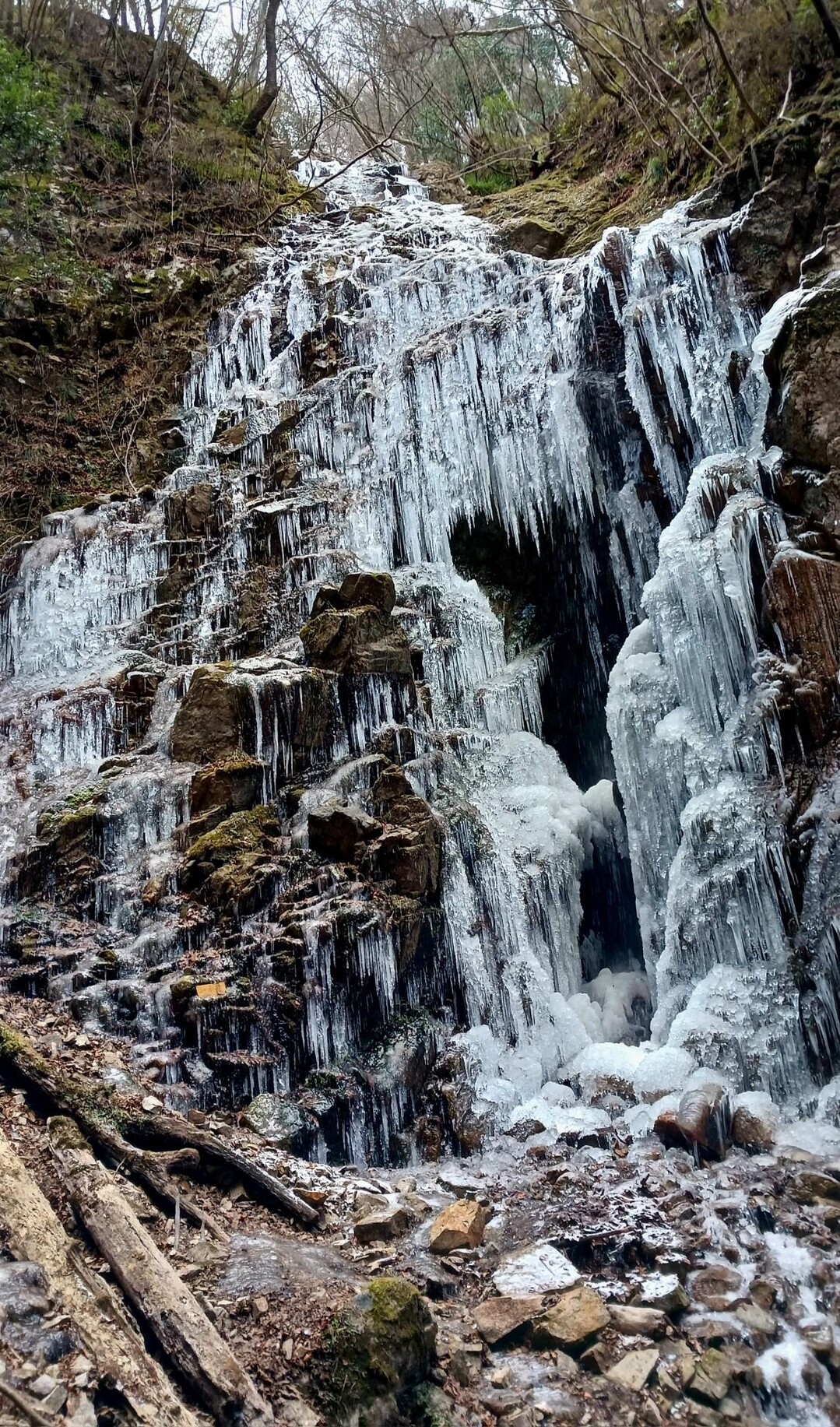 裏六甲の氷瀑 🤭 / naokorinさんの六甲山・長峰山・摩耶山の活動データ | YAMAP / ヤマップ