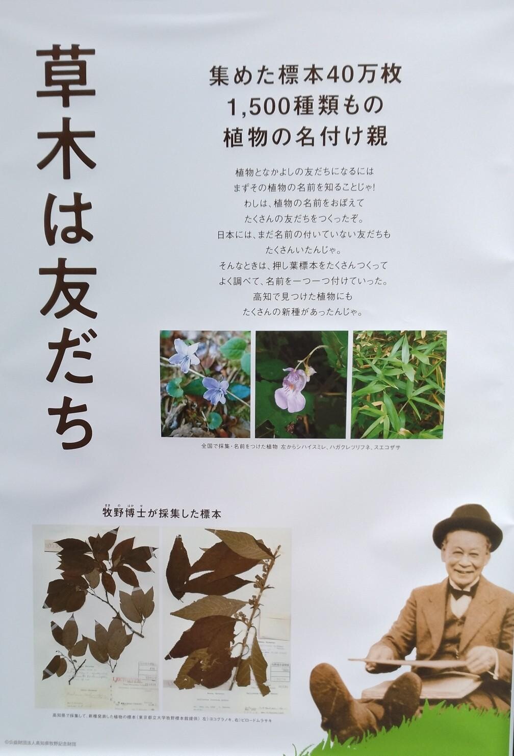 NHK朝ドラ「らんまん」にちなみ 広島市... / YT、Odさんのモーメント | YAMAP / ヤマップ