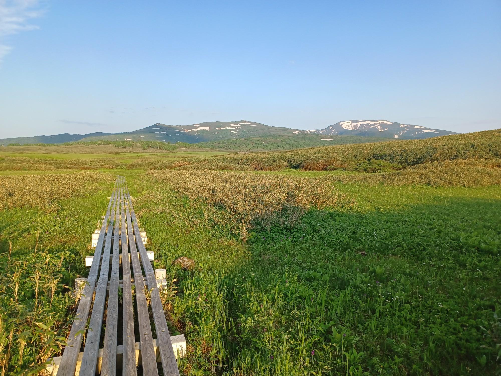 2025.06.24(火) 02:42 / Windyさんのモーメント | YAMAP / ヤマップ
