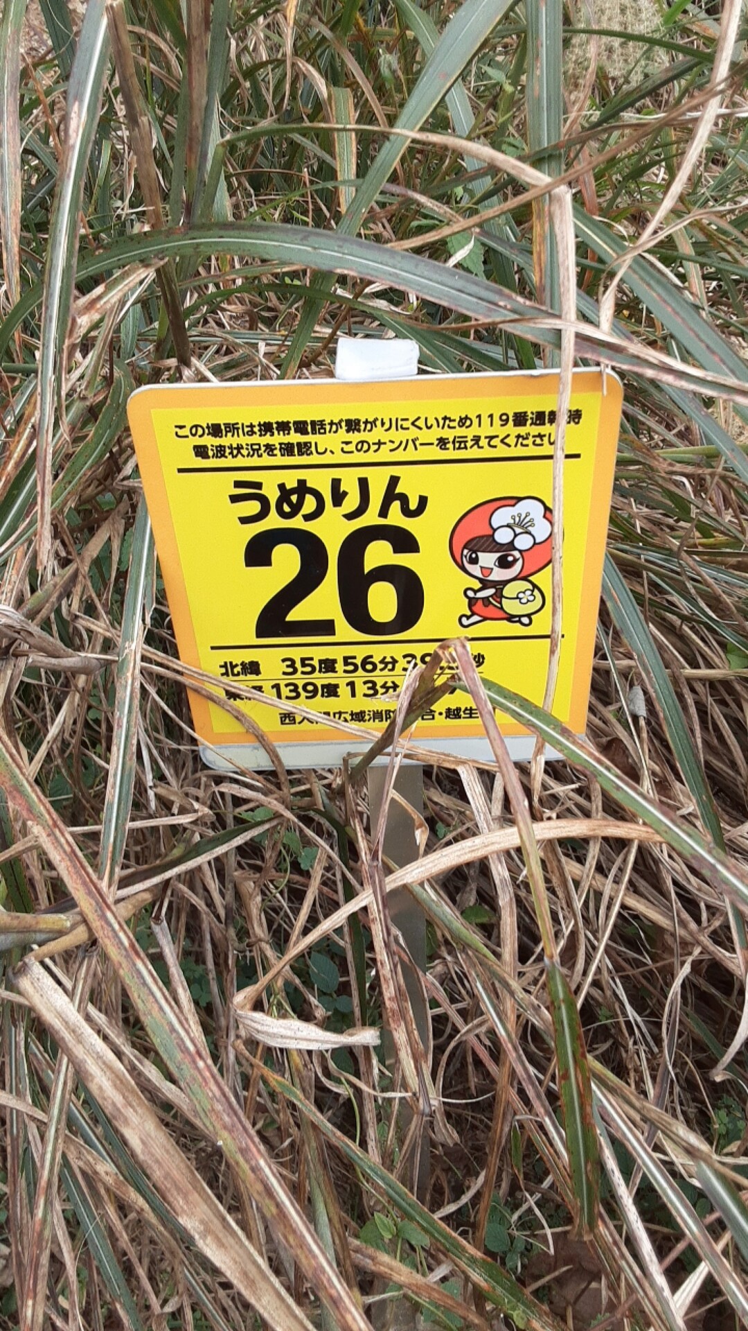 SSMさんの投稿したフィールドメモ | YAMAP / ヤマップ