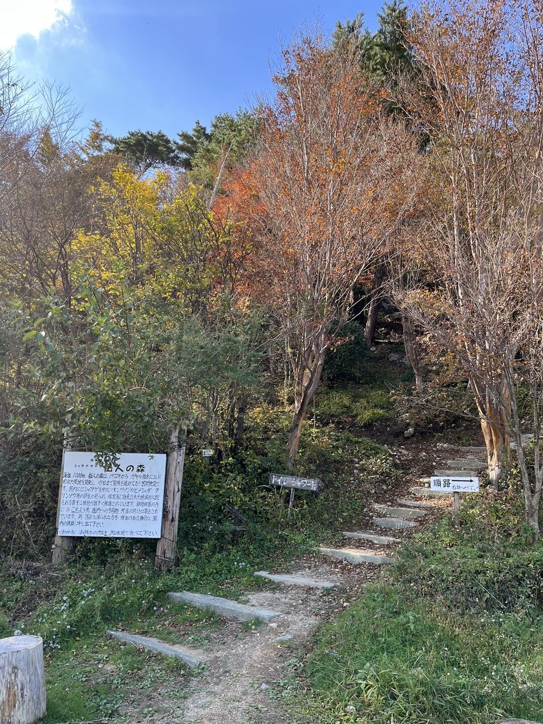 今日も絶好の天気で、岳人の森を散策とキャ... / masaさんのモーメント | YAMAP / ヤマップ
