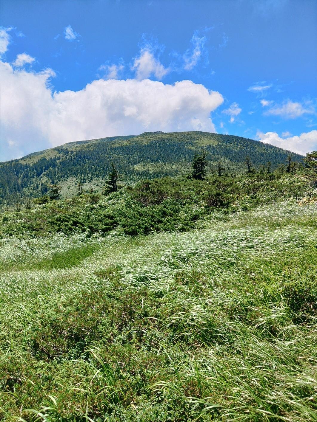 天元台、梅雨明けピか晴れ😽 / Daisuke Adachiさんのモーメント | YAMAP / ヤマップ