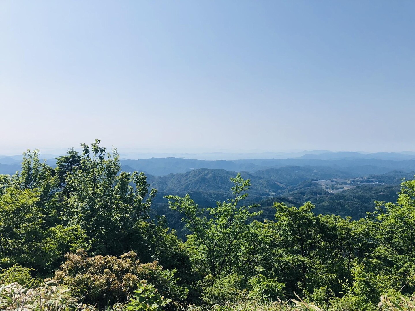 〇羅漢山・小羅漢山 / Coo・kie（くぅ🗝️）さんの羅漢山の活動データ | YAMAP / ヤマップ