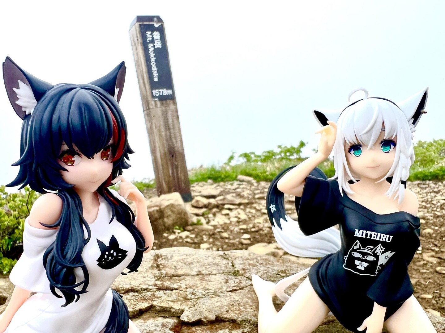 東北旅DAY3 おまけ 畚岳 / はちマヨ🦈ドカ食い兄ちゃんさんの八幡平・源太森・安比岳の活動データ | YAMAP / ヤマップ