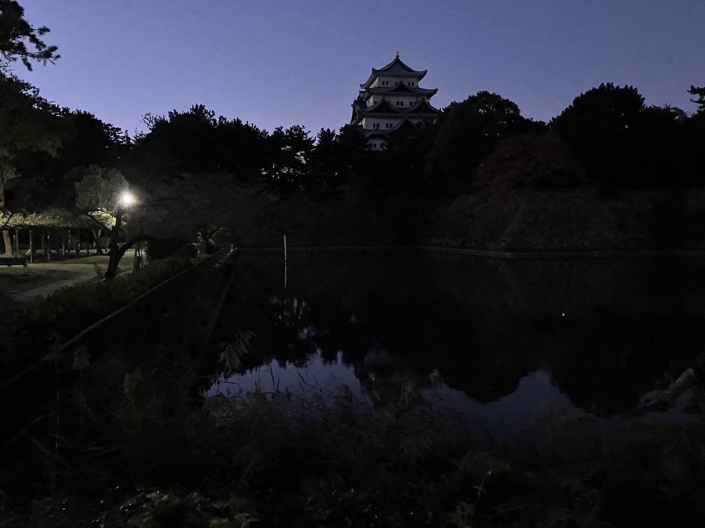 名古屋市-2024-11-24 / tsさんの名古屋市の活動データ | YAMAP / ヤマップ