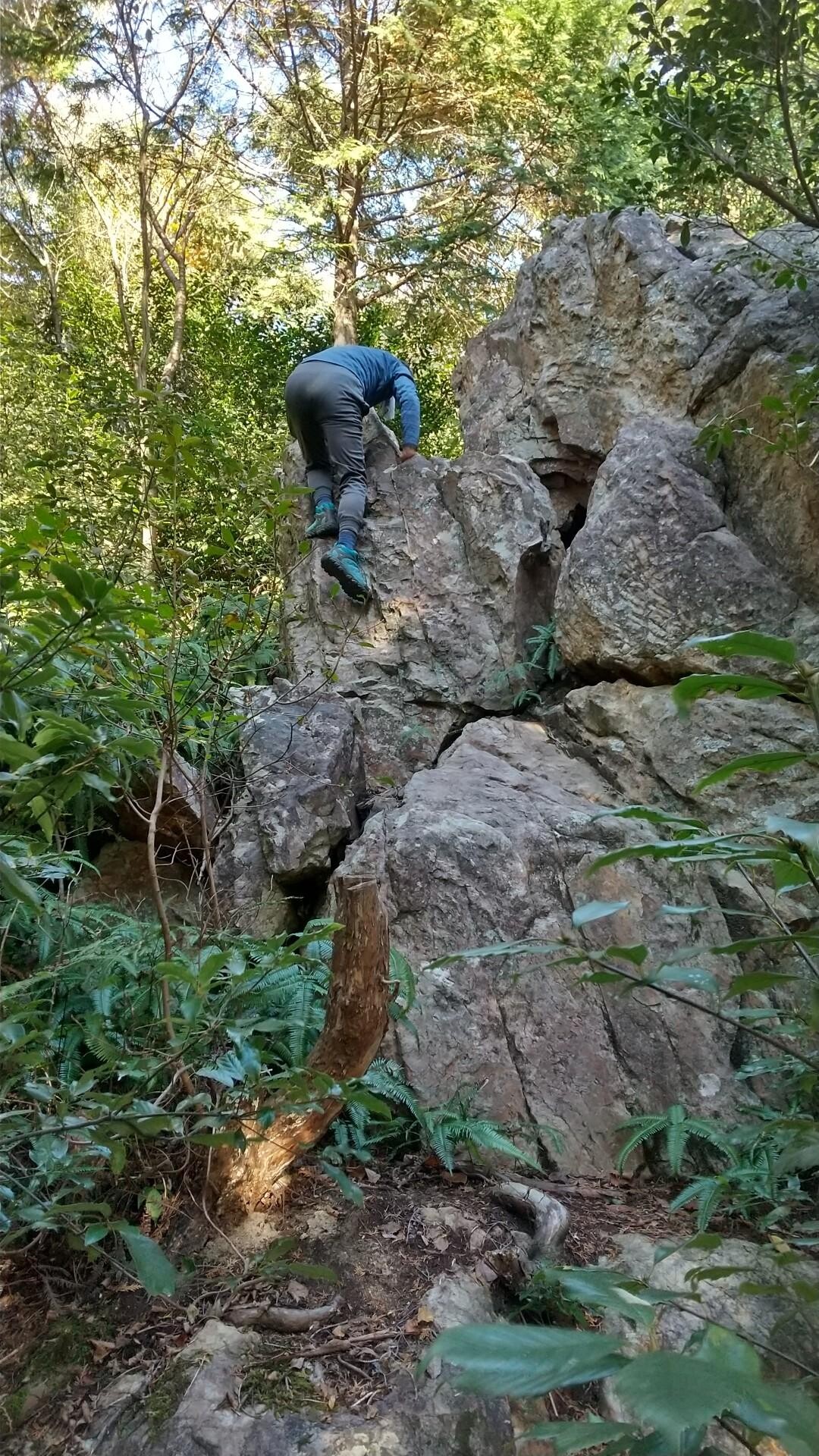 弥勒山143 / Kazz1950さんの春日井三山・弥勒山・大谷山・道樹山の活動データ | YAMAP / ヤマップ
