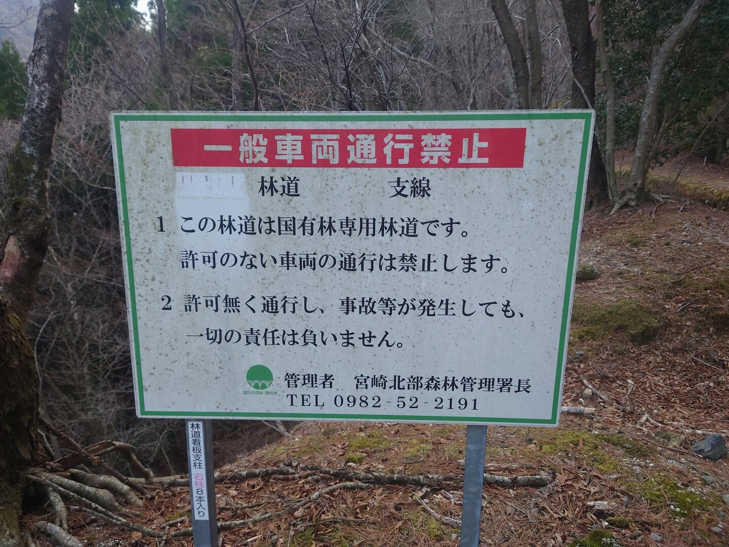 ねこさんさんの投稿したフィールドメモ | YAMAP / ヤマップ