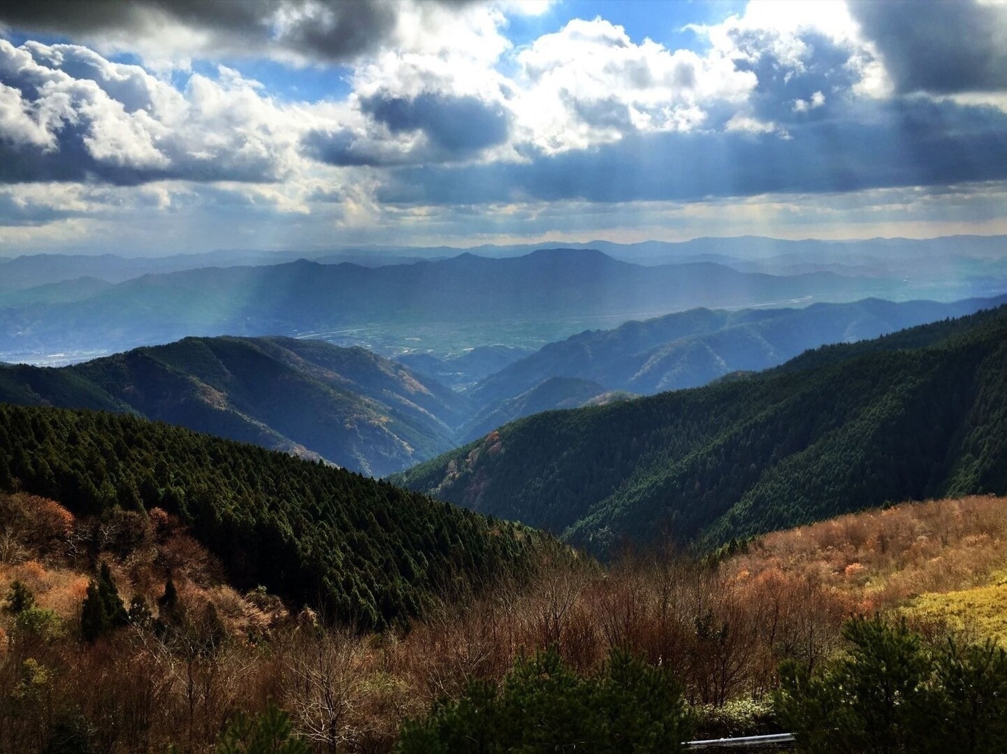 和泉葛城 / Alfeloaさんの槇尾山（槙尾山）・和泉葛城山・神於山の活動データ | YAMAP / ヤマップ