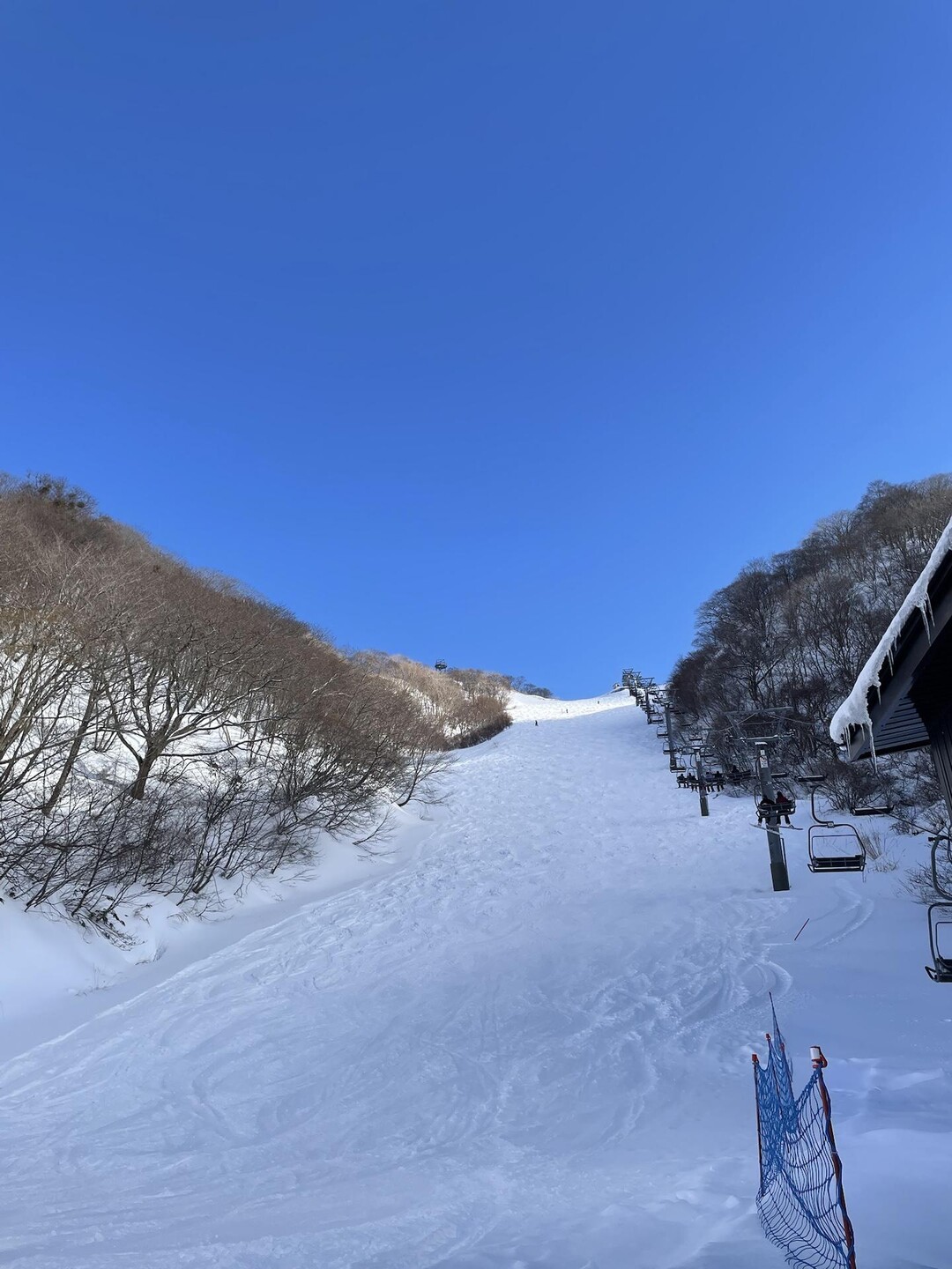 グランスノー奥伊吹⛷️日の出山🏔️ / neon neoさんのブンゲン（射能山）の活動データ | YAMAP / ヤマップ