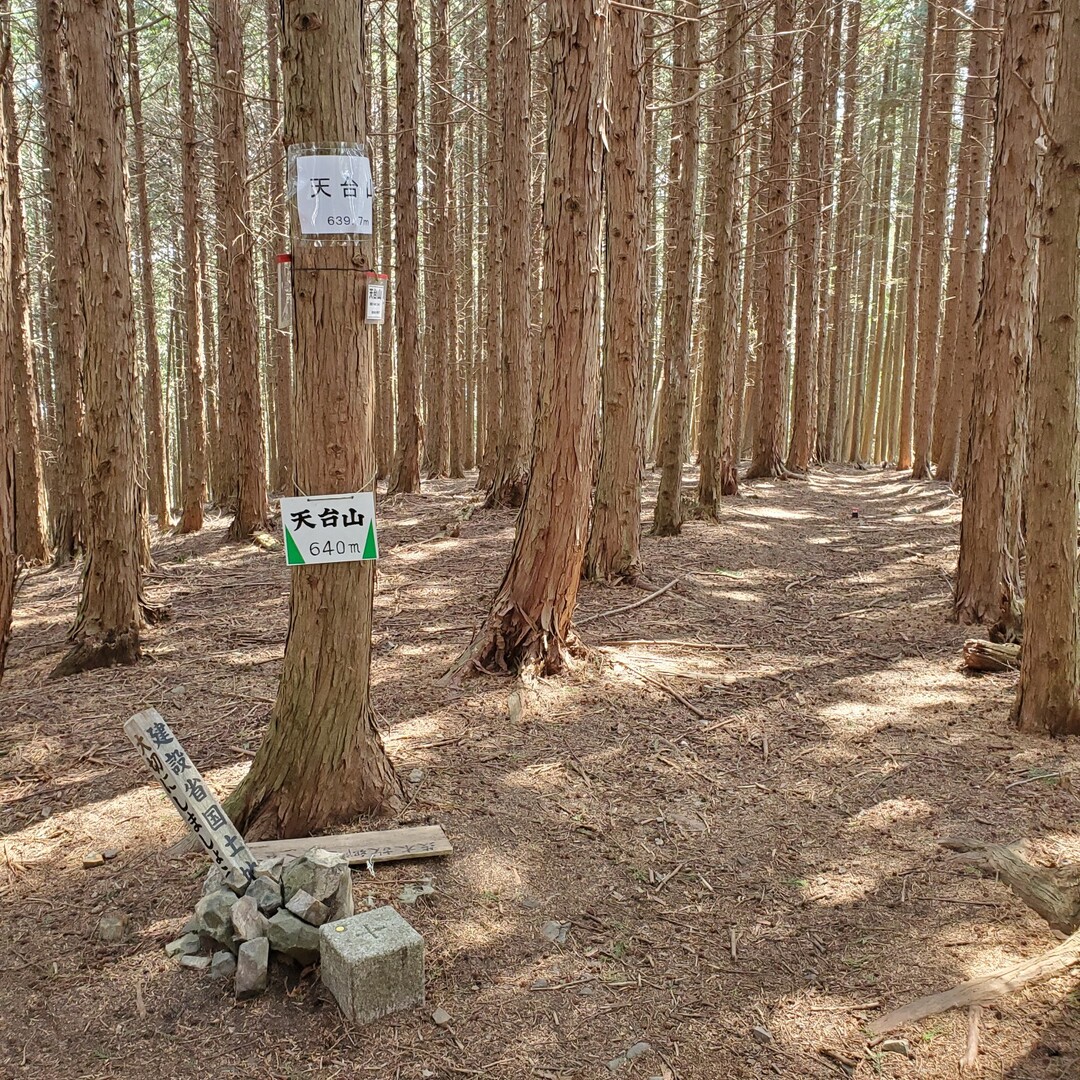 junさんの投稿したフィールドメモ | YAMAP / ヤマップ