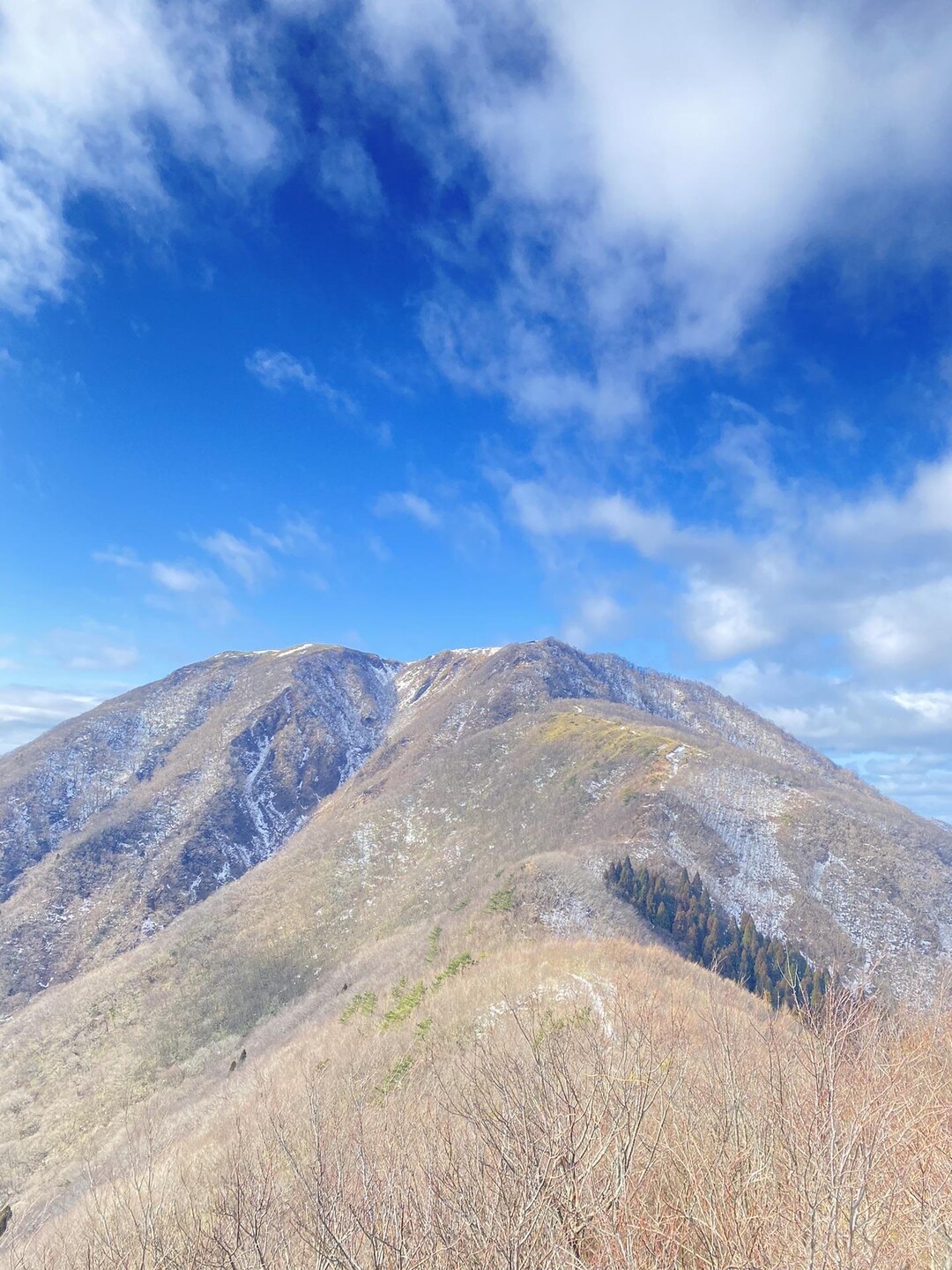2024 登り始めは三瓶お鉢巡り / YMTさんの三瓶山・大平山の活動データ | YAMAP / ヤマップ