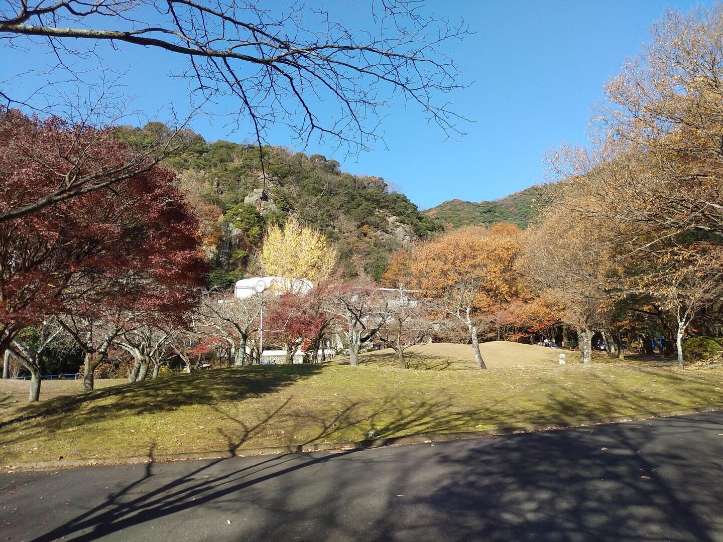 タイムトライアル！！金華山 / nobu2🦩さんの金華山・洞山・舟伏山の活動データ | YAMAP / ヤマップ