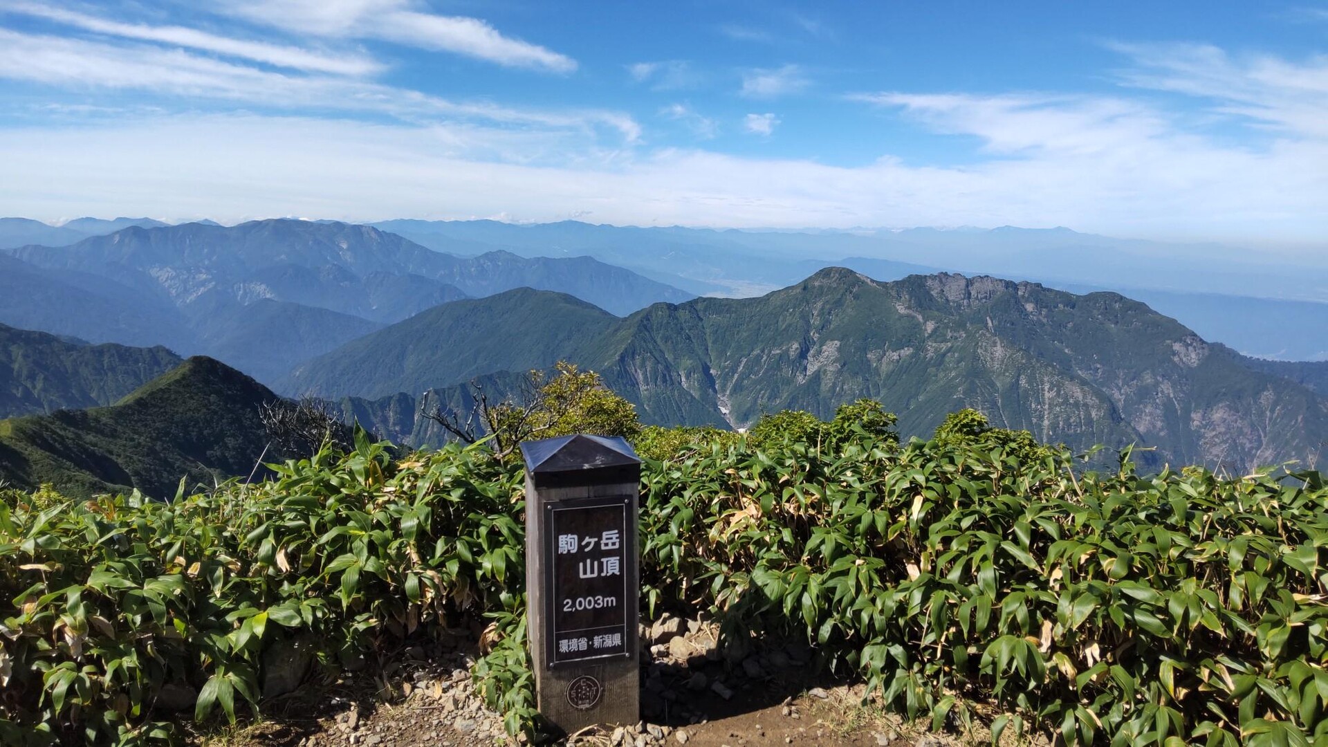 道行山・小倉山・越後駒ヶ岳 / mamoさんの越後駒ヶ岳・八海山・荒沢岳の活動データ | YAMAP / ヤマップ