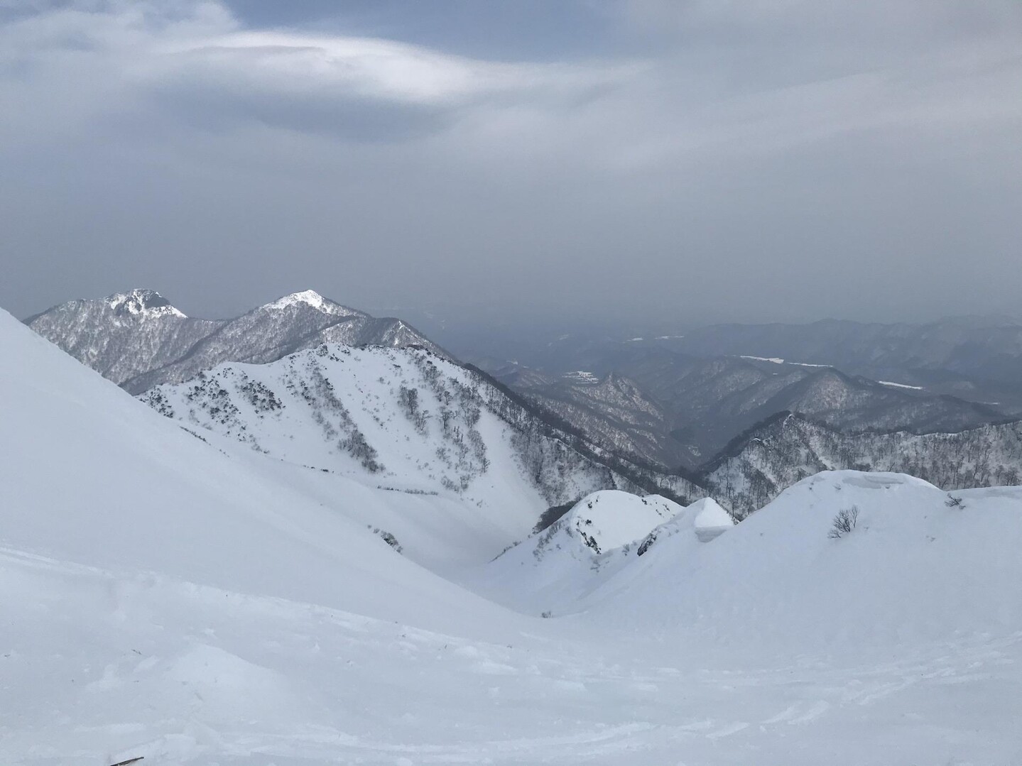 振子沢 BC / souさんの大山・甲ヶ山・野田ヶ山の活動データ | YAMAP / ヤマップ