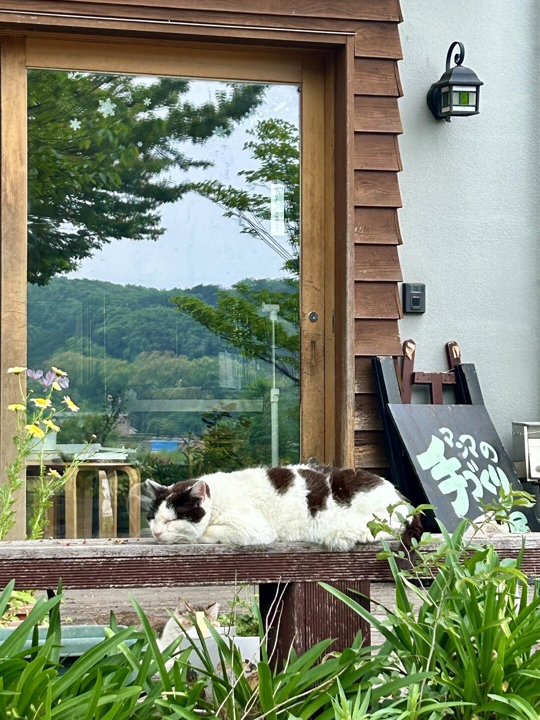 日和田山・物見山⛰️ / Maaさんの日和田山・物見山の活動データ | YAMAP / ヤマップ
