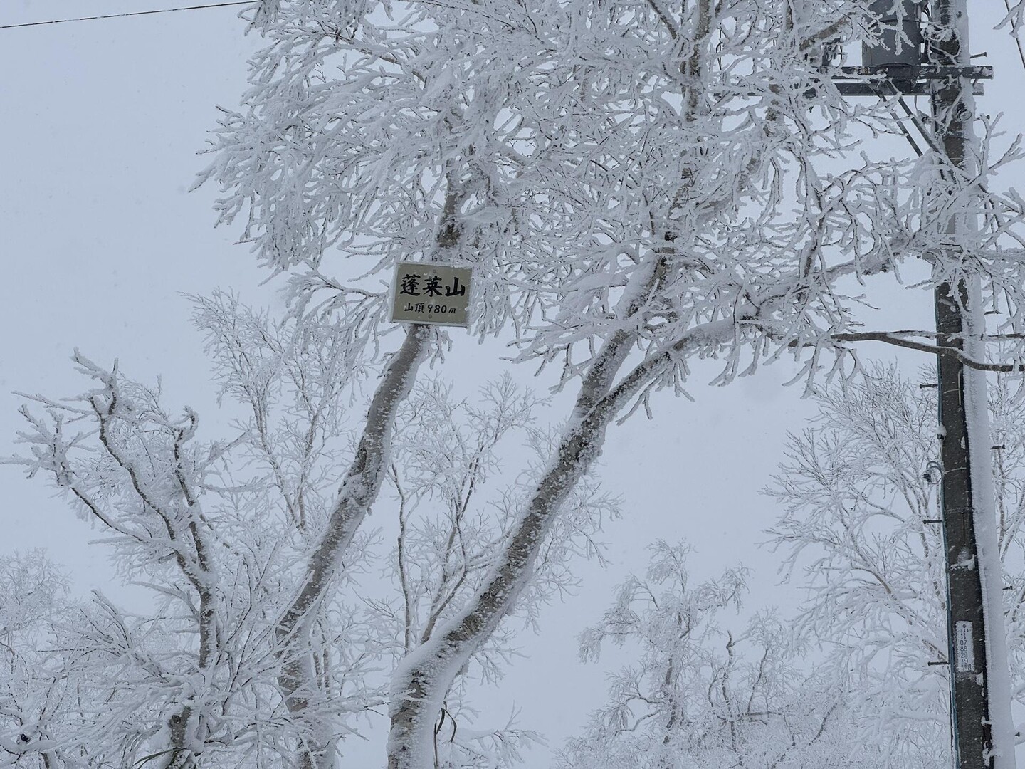 蓬莱山BCホワイトアウト💦 / SUGAさんの蓬莱山の活動データ | YAMAP / ヤマップ