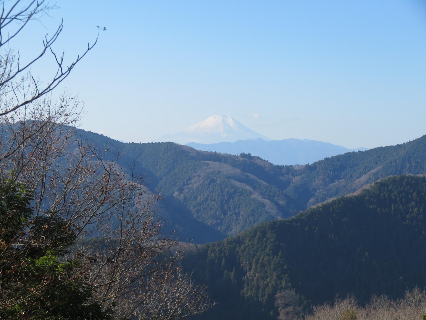 北高尾山稜（東半分）多摩100/百 里100おさらい会 / andyさんの高尾山・陣馬山・景信山の活動データ | YAMAP / ヤマップ