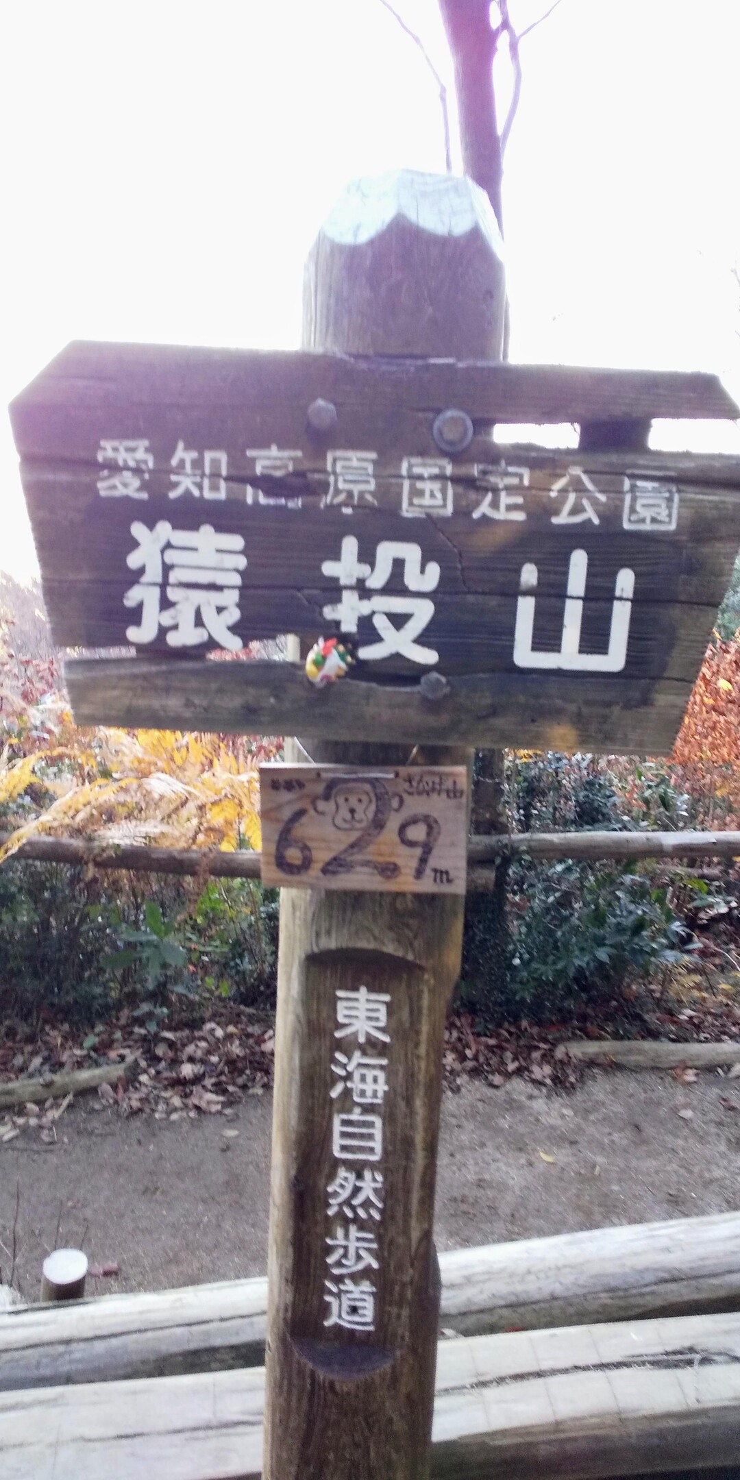 年中さん猿投山デビュー-2022-11-27 / inopyonさんの猿投山・物見山の活動データ | YAMAP / ヤマップ