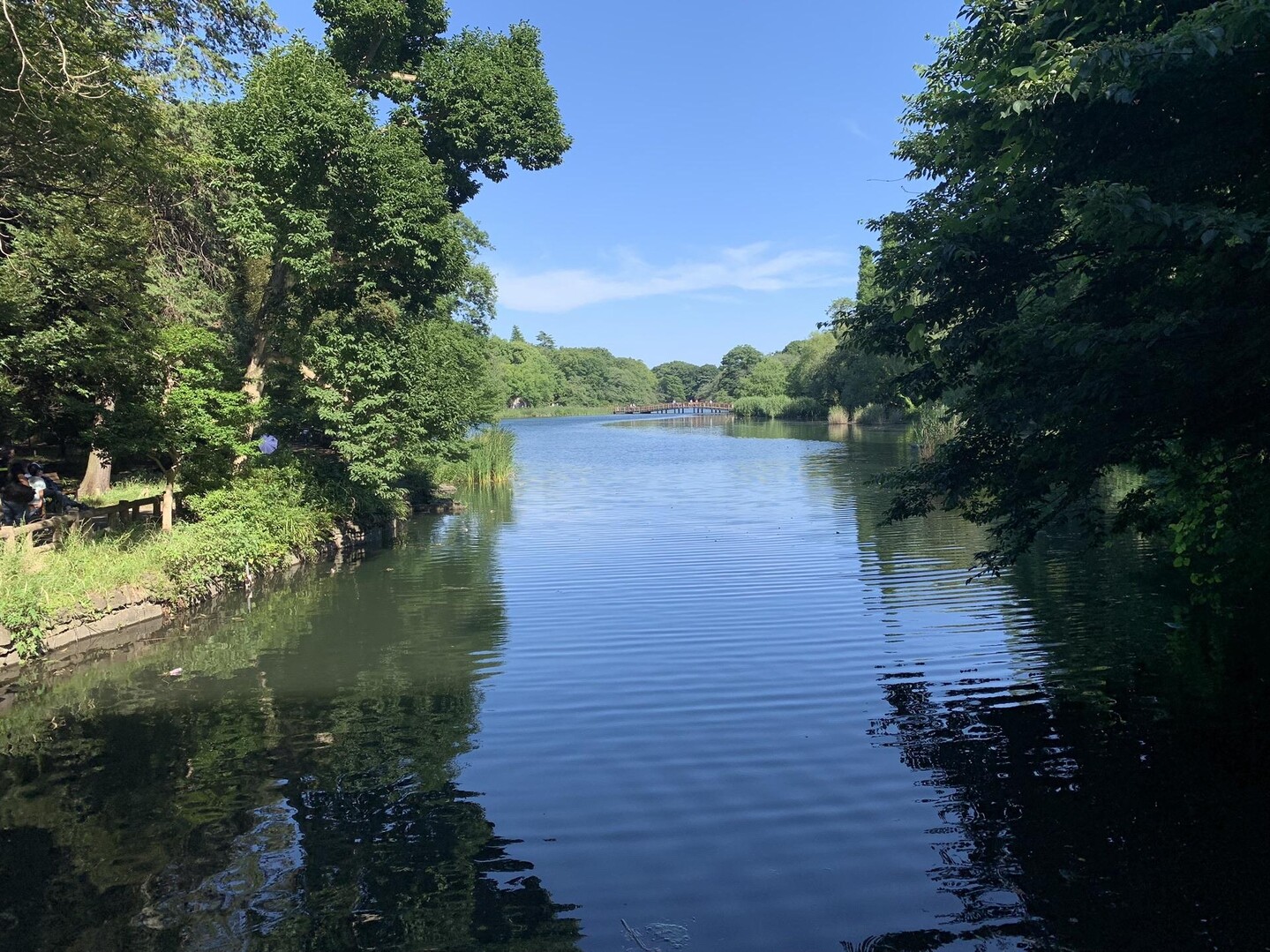 ベストコンディションの視力で山並みを眺め... / 穂先めんまさんのモーメント | YAMAP / ヤマップ
