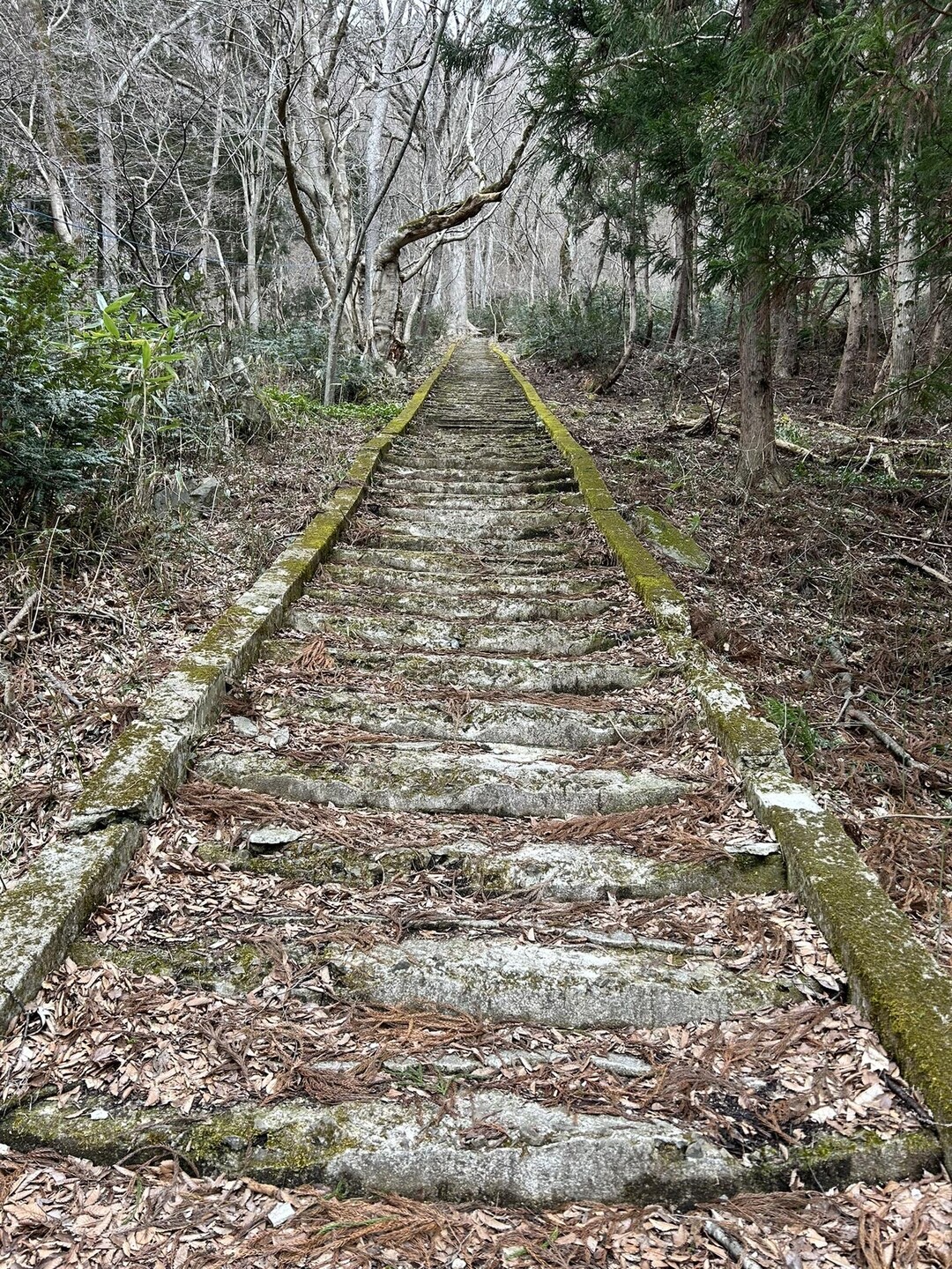 羽黒山・背あぶり山 / yumipさんの奴田山（青木山）・吹矢山の活動データ | YAMAP / ヤマップ