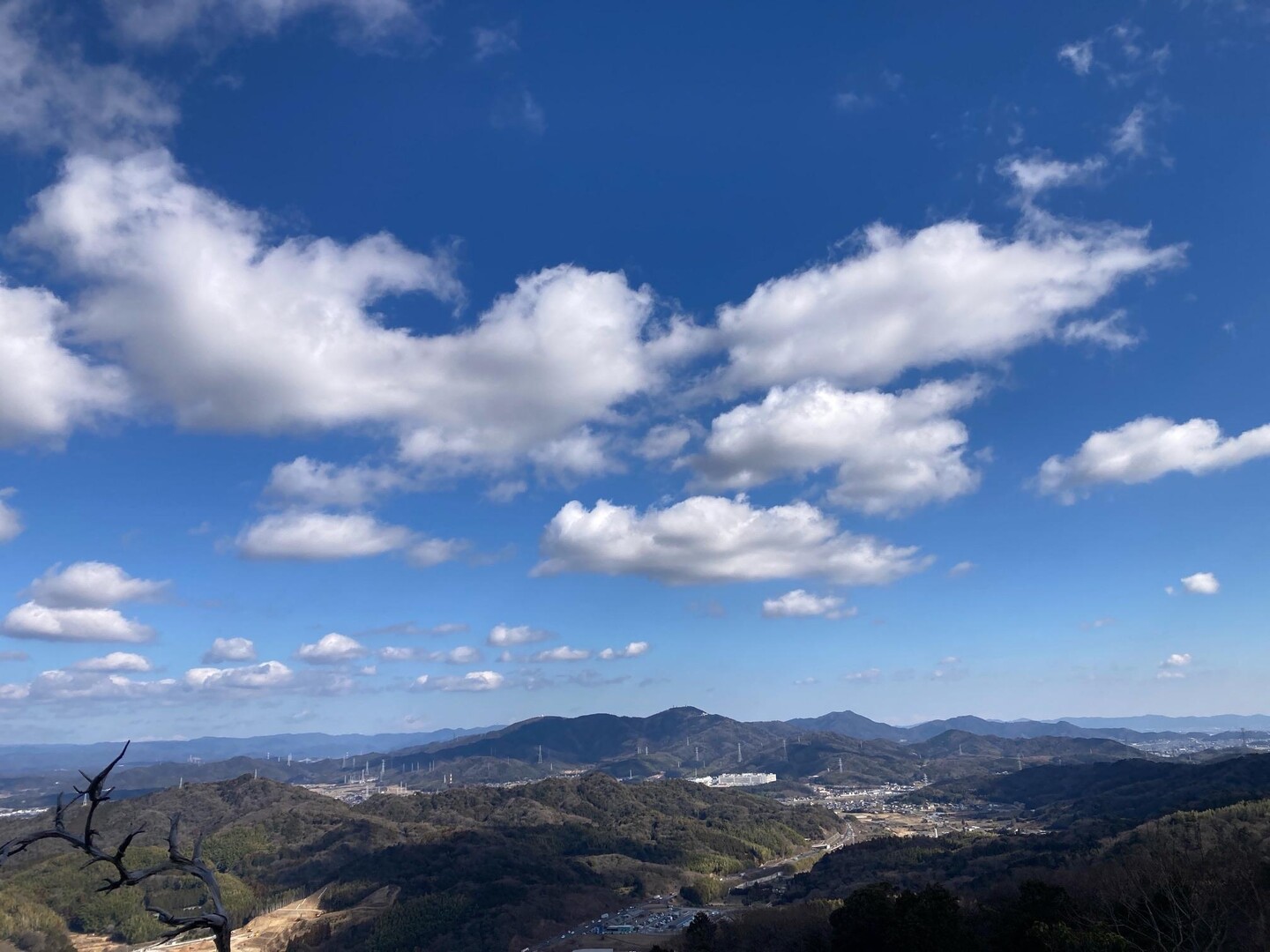 乙女峠・茶臼山 / 1 hawkさんの茶臼山・万灯山の活動データ | YAMAP / ヤマップ