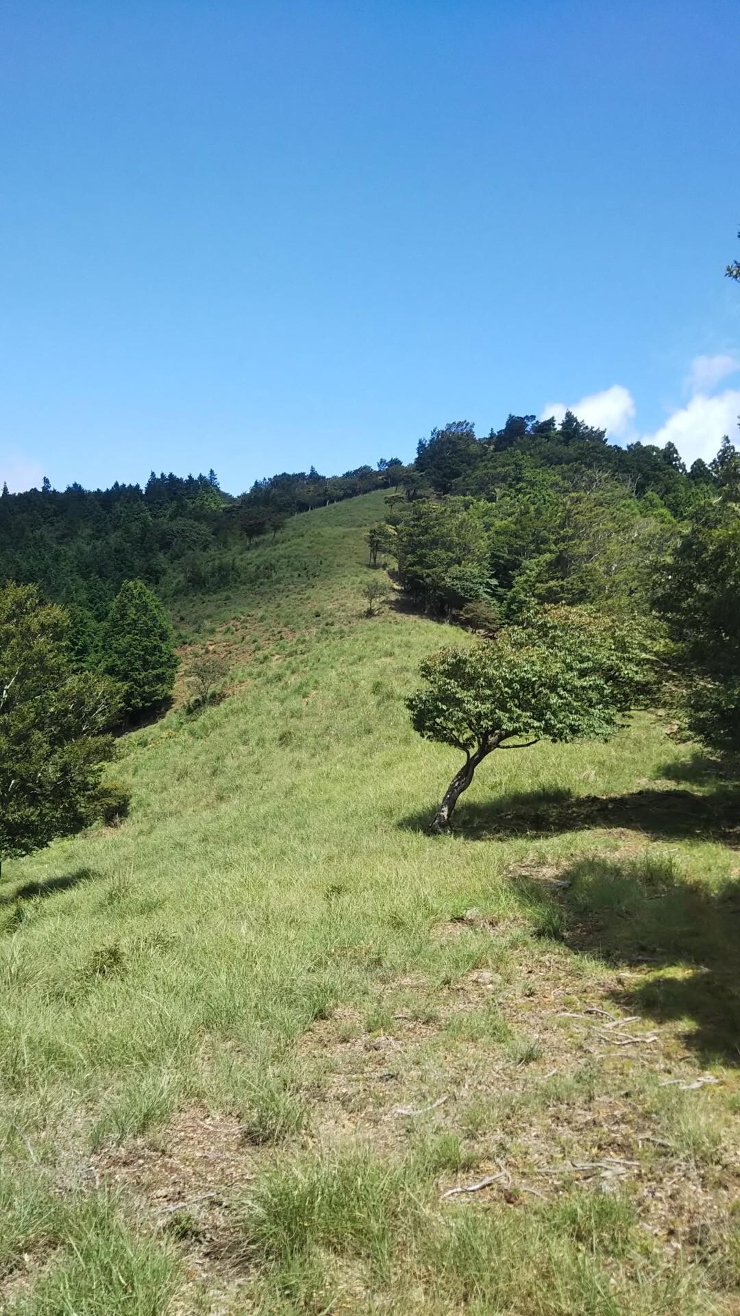 ハンシ山・伊勢辻山・赤ゾレ山・国見山・木梶山 / mino&maoさんの桧塚奥峰・明神岳・薊岳の活動データ | YAMAP / ヤマップ