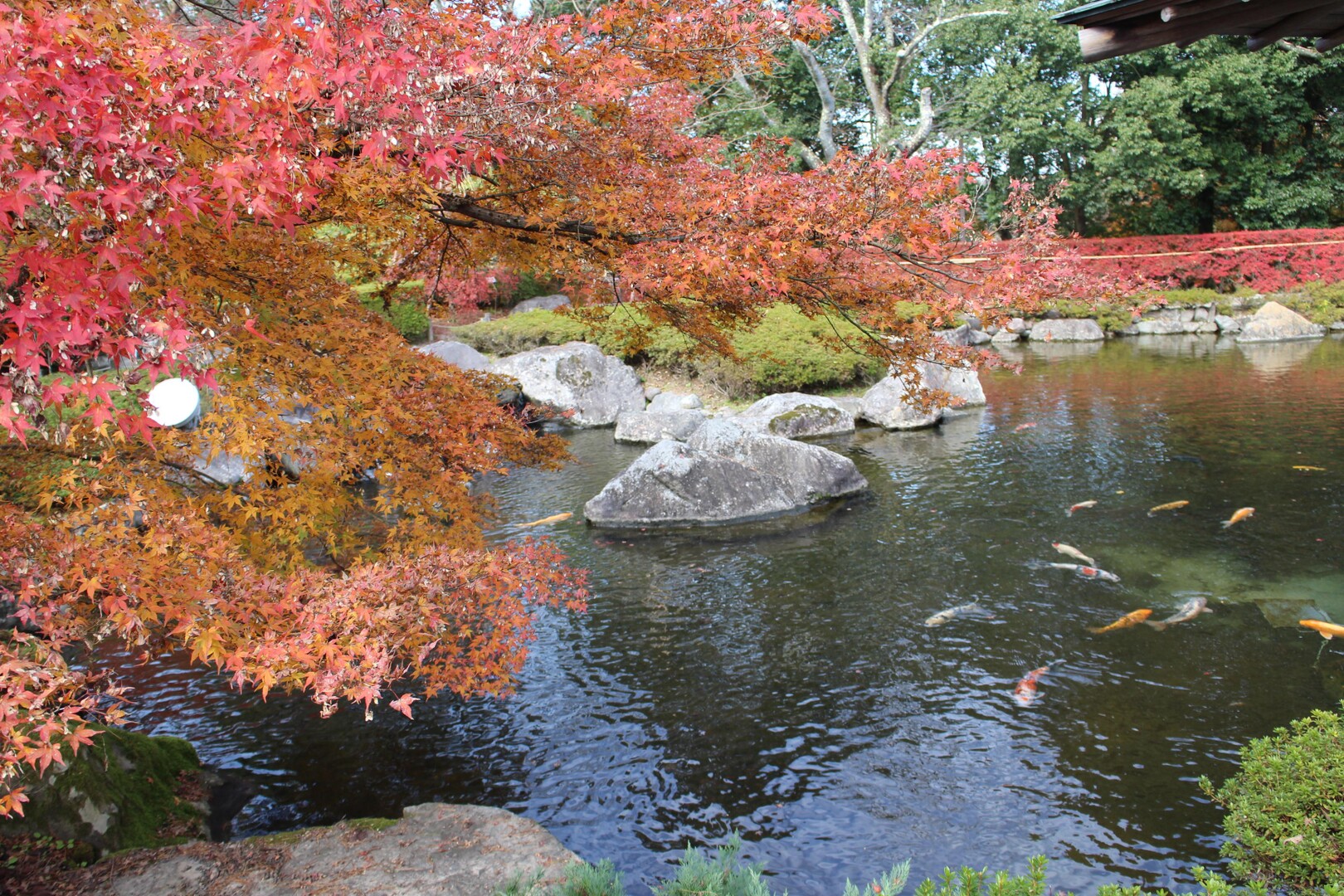 ブラブラと紅葉狩り🍁長泉寺山 / Mr.slimさんの長泉寺山の活動データ | YAMAP / ヤマップ