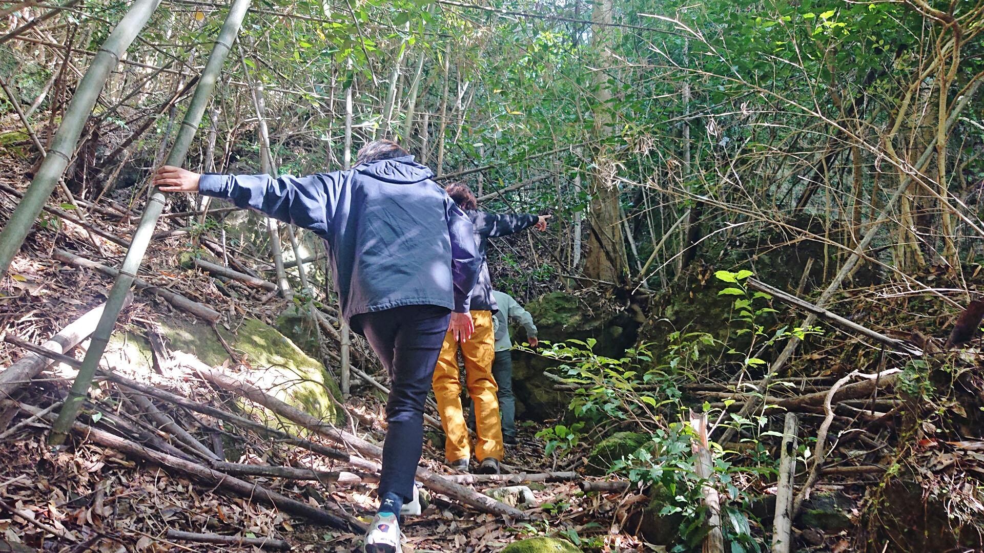 職場の仲間で両子山登山に向かう途中で、大... / FUMI（JA6XDT）さんのモーメント | YAMAP / ヤマップ