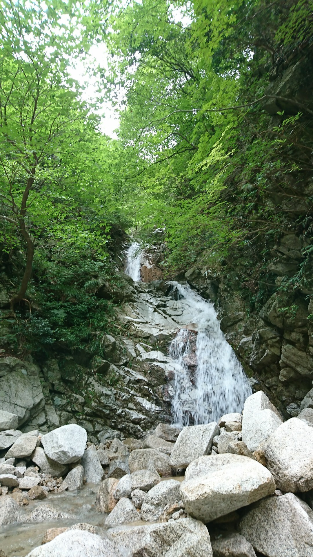 hiroのページ | YAMAP / ヤマップ