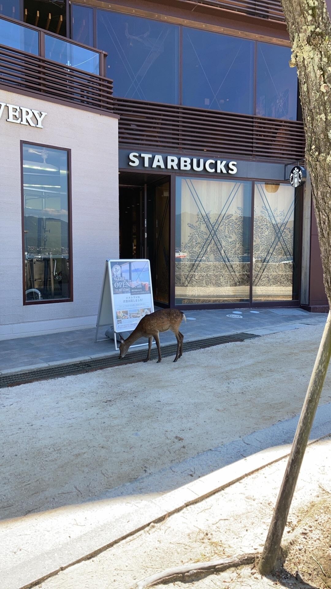 ウォーキング-2022-10-01 / kiyo 096さんのウォーキングの活動データ | YAMAP / ヤマップ