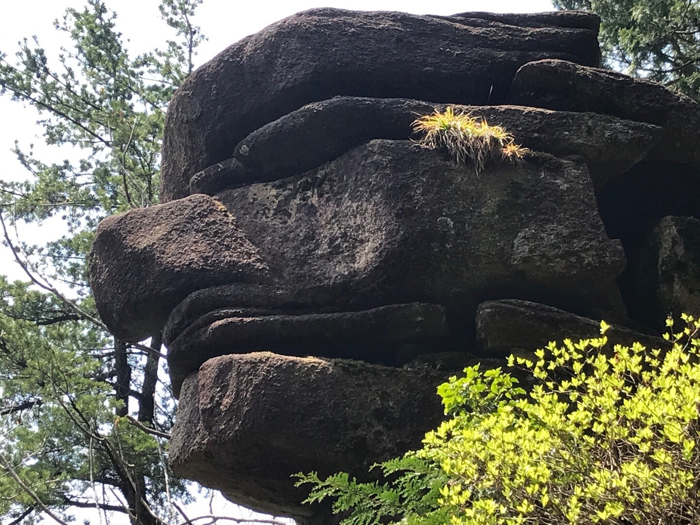 イブネクラシとお金明神…大瀞の渡渉 / えいちゃんさんの御在所岳（御在所山）・雨乞岳の活動データ | YAMAP / ヤマップ